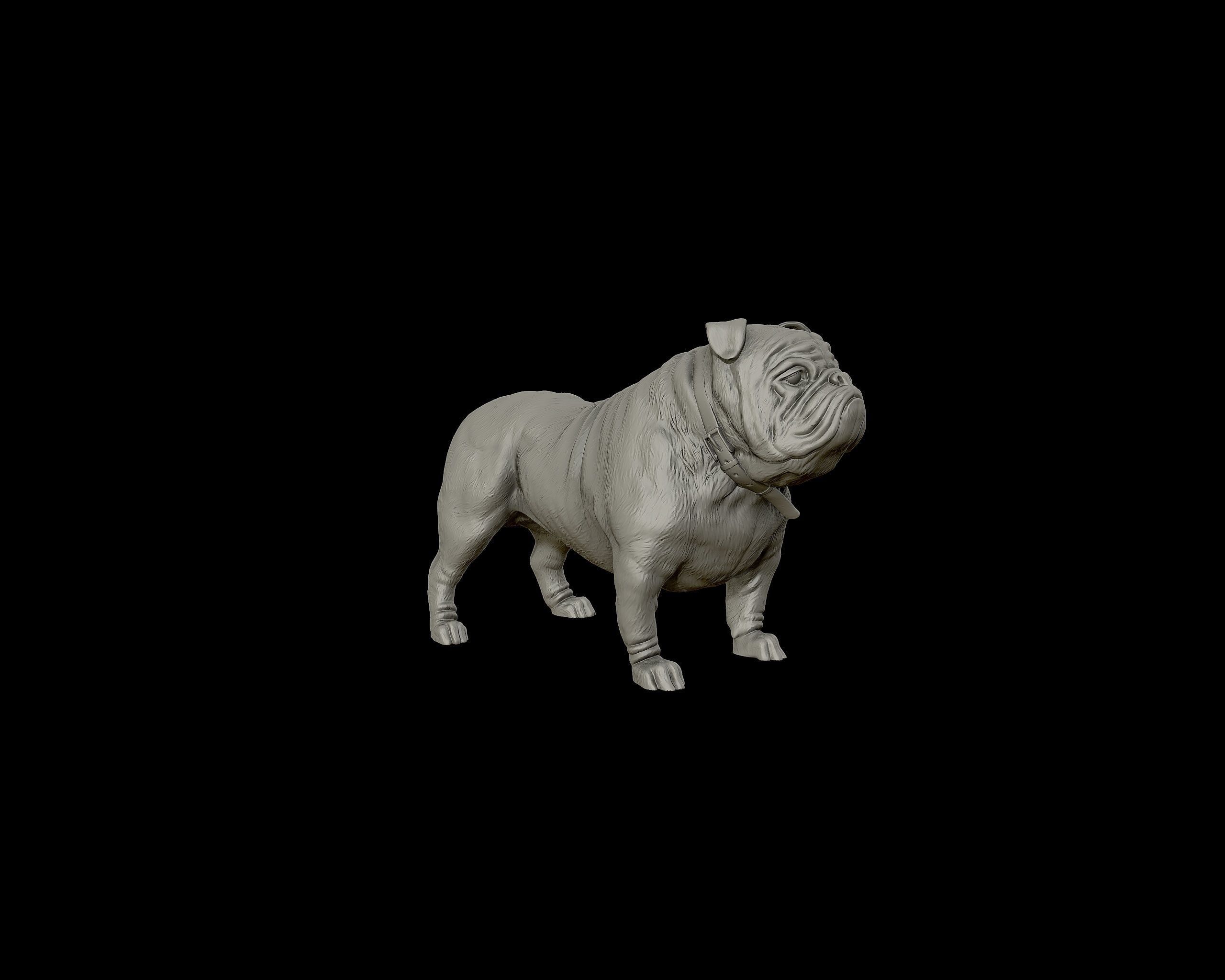 Bulldog model 3D model 3D printable | CGTrader
