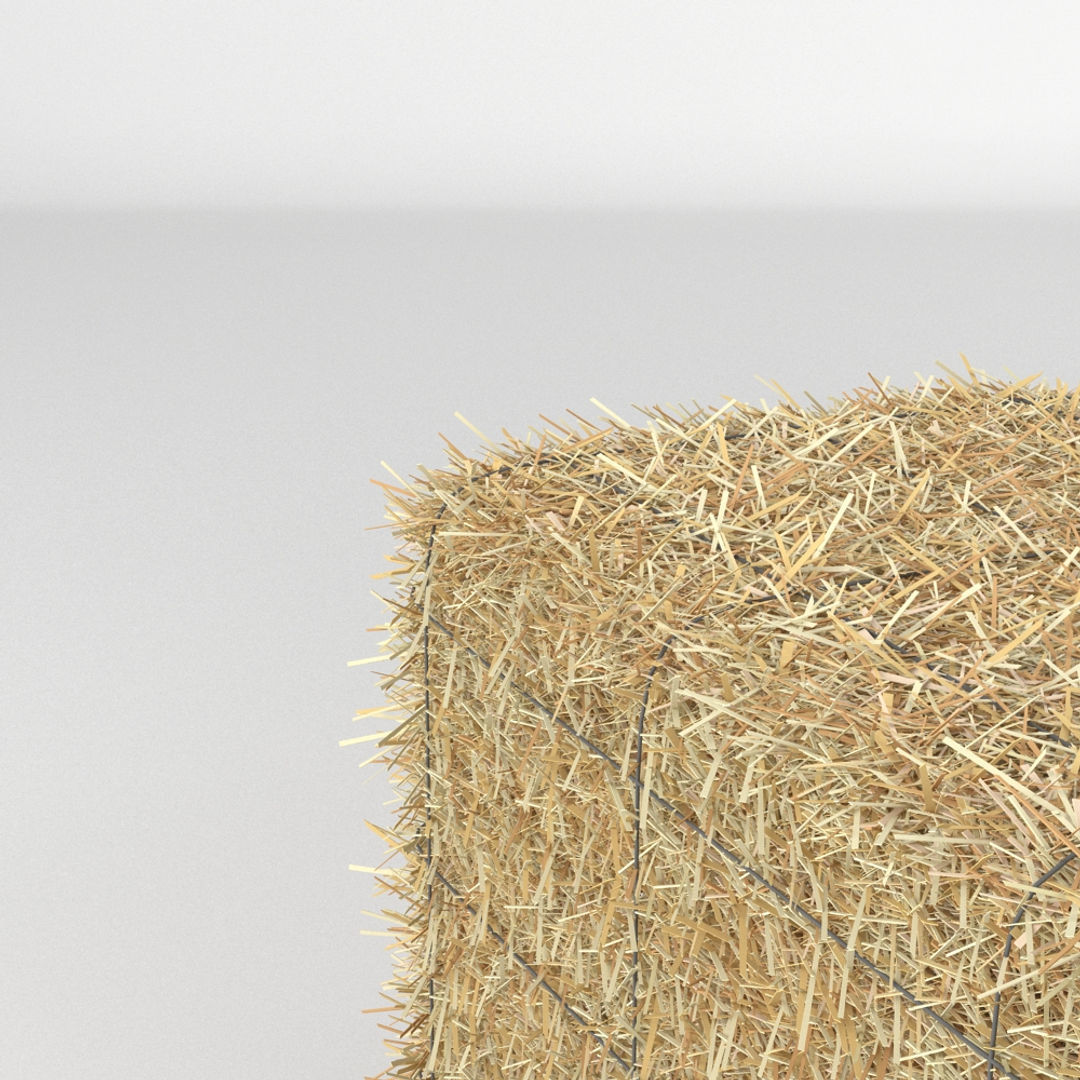 Hay Bale 3D model | CGTrader