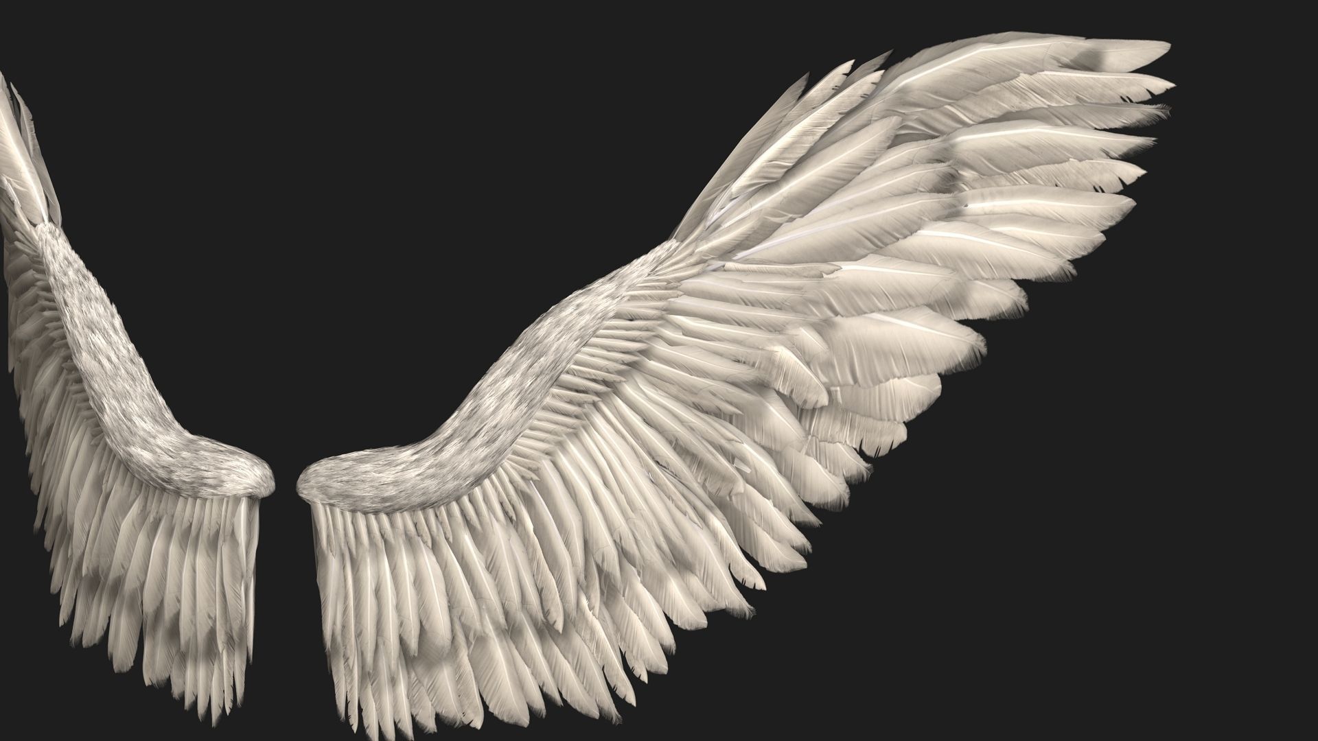 Angel Wings 3D model animated rigged | CGTrader