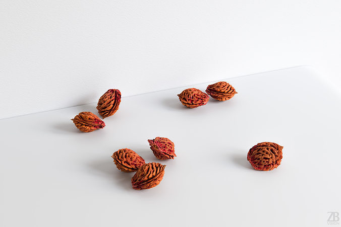 Peach Pit 002 3D model | CGTrader