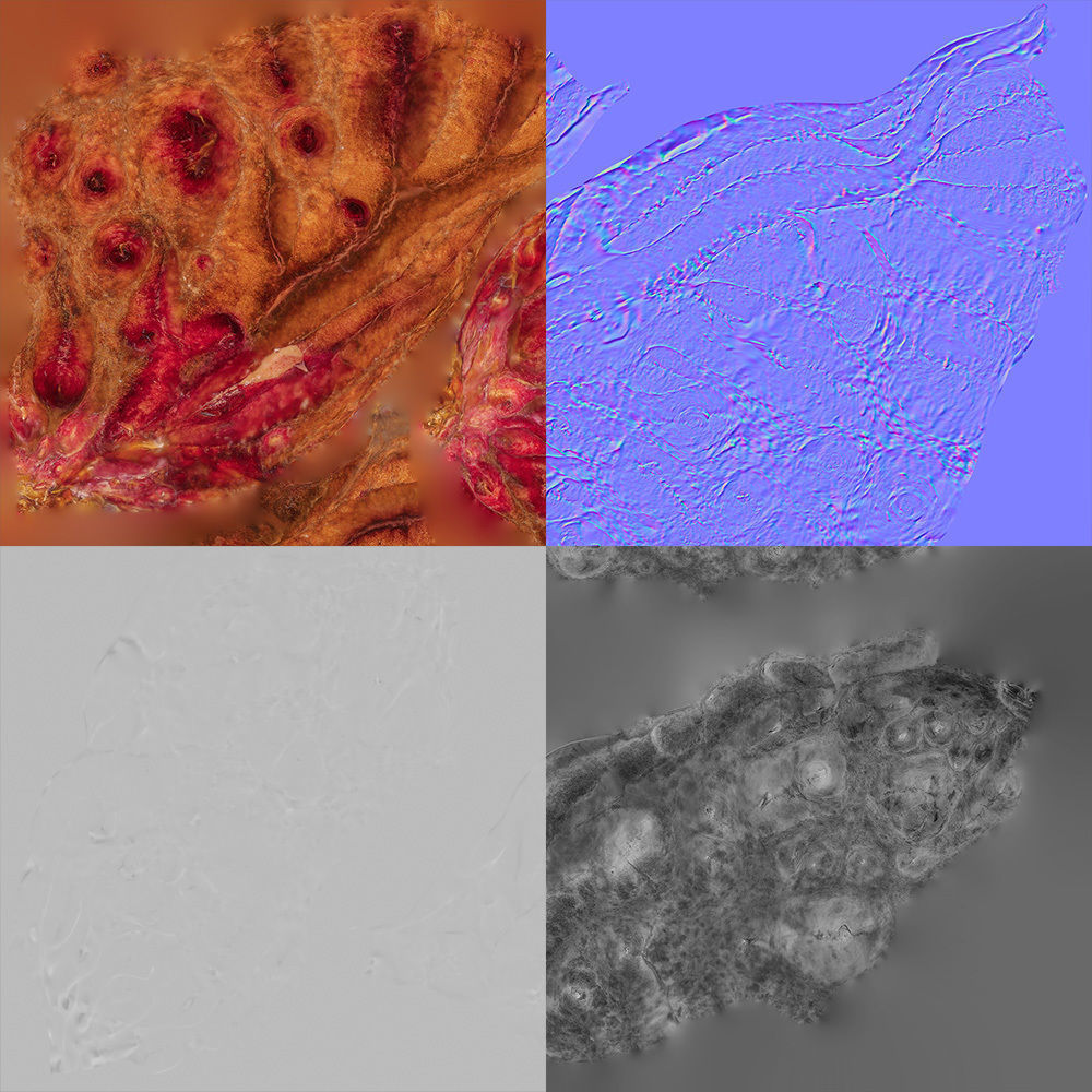 Peach Pit 002 3D model | CGTrader