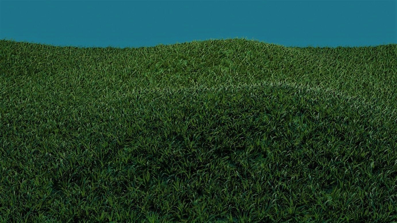 Simple Blender Grass 3D Model free 3D model | CGTrader