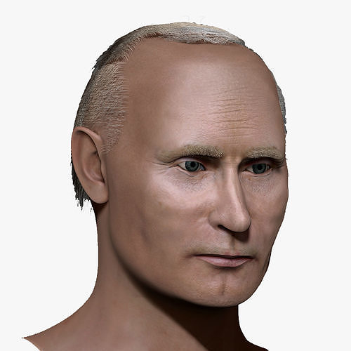 Vladimir Putin zbrush 3D Character design 3D model 3D model | CGTrader