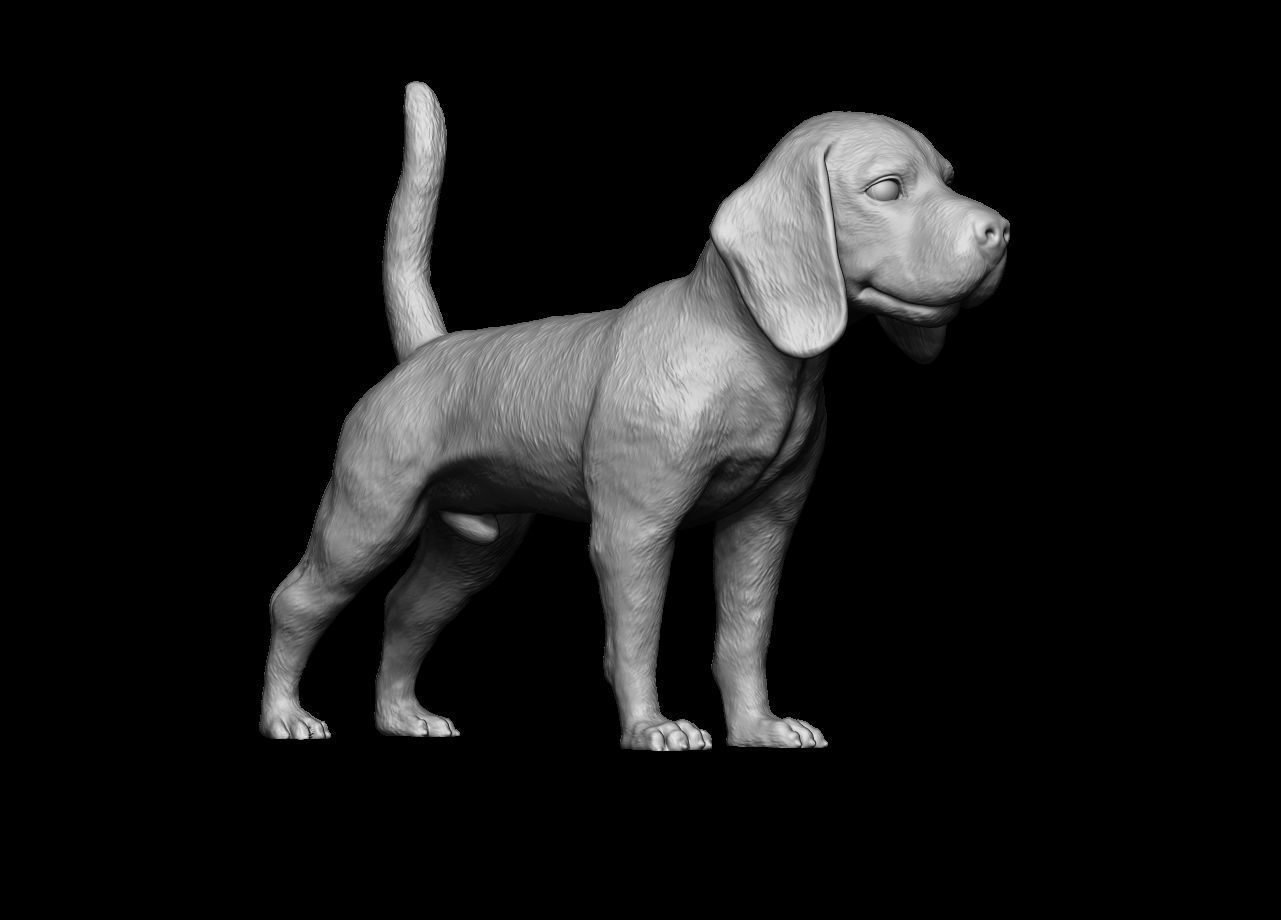 Beagle model 3D print model 3D model 3D printable | CGTrader