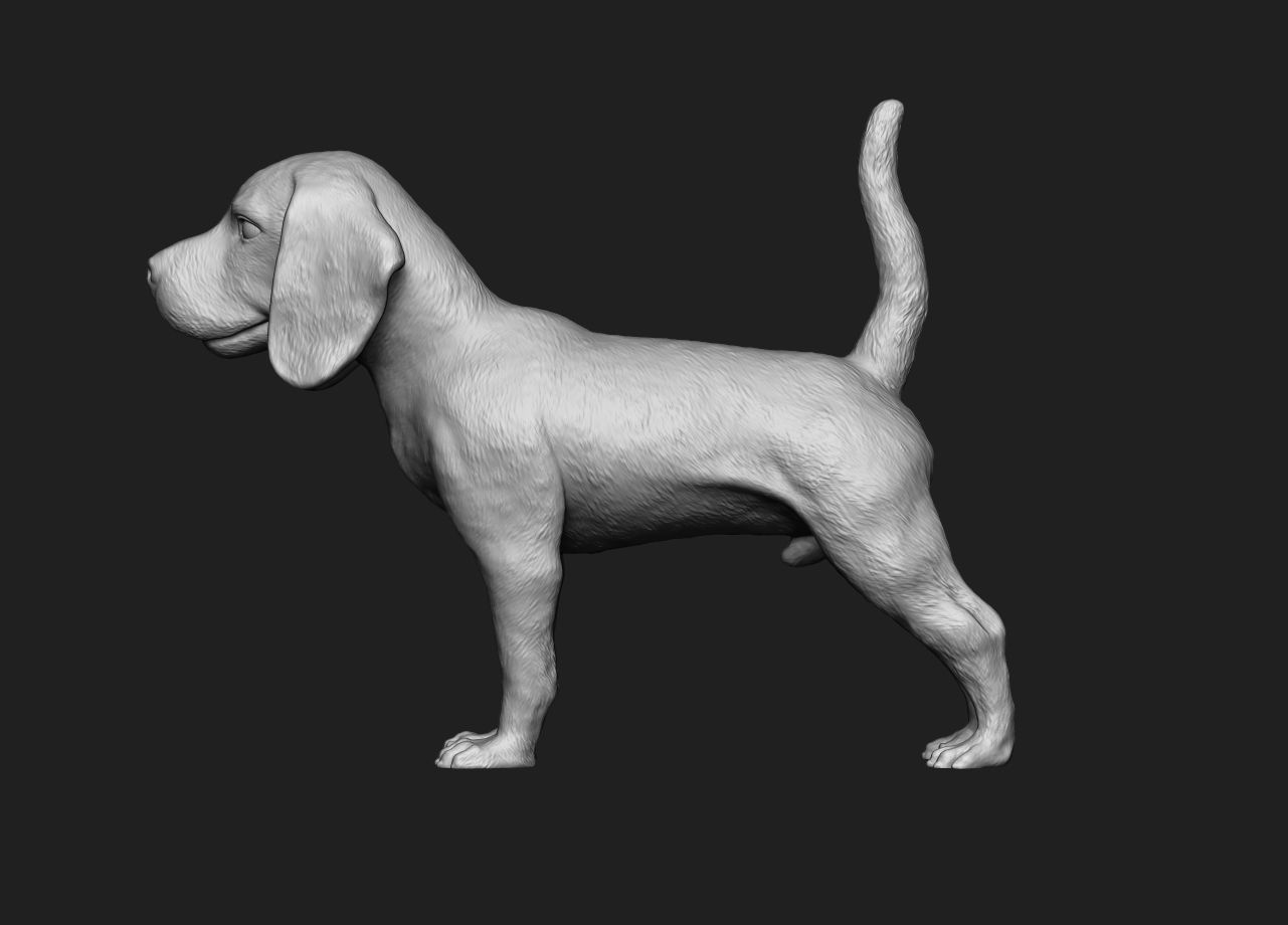 Beagle model 3D print model dog 3D model 3D printable | CGTrader