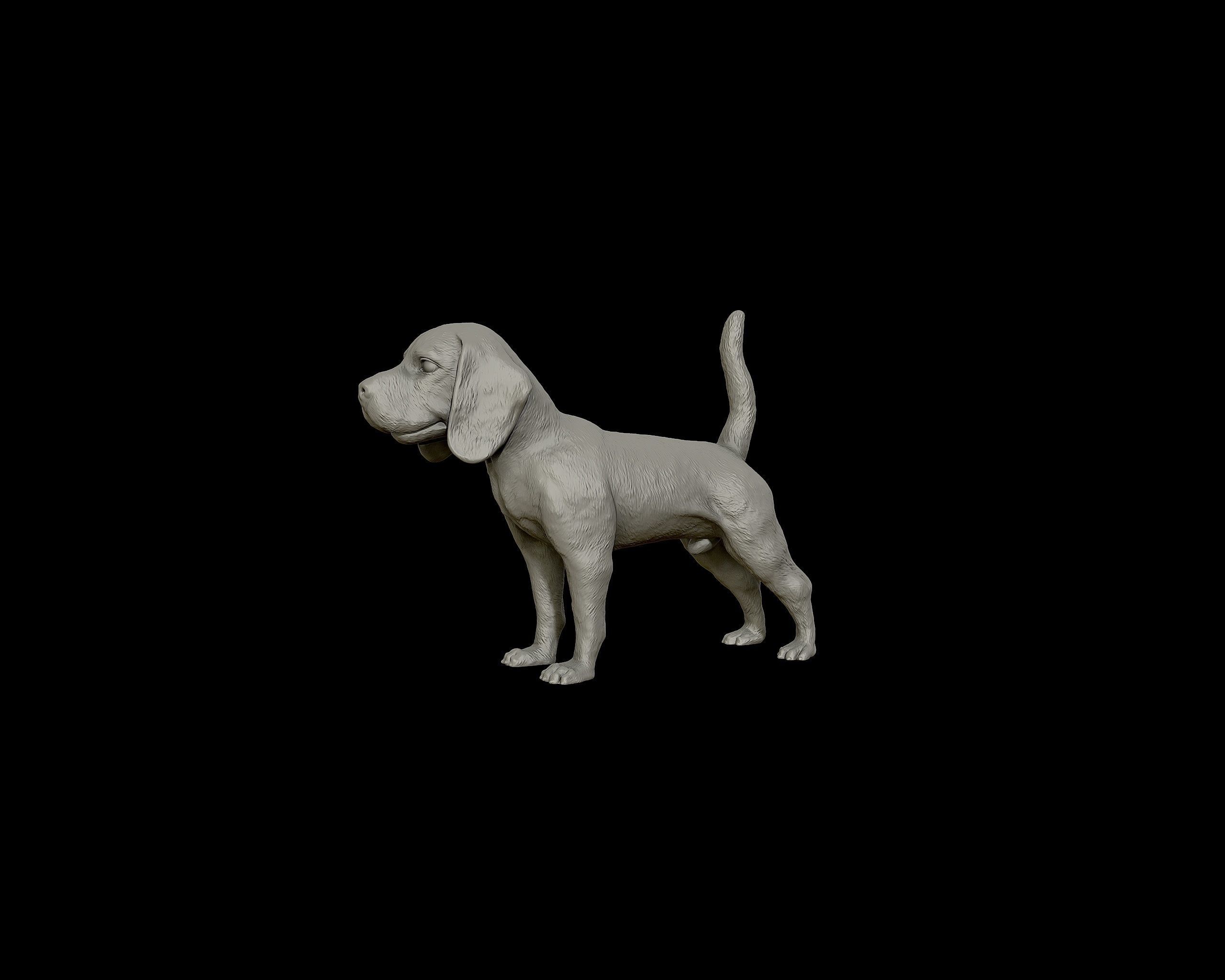 Beagle model 3D print model 3D model 3D printable | CGTrader