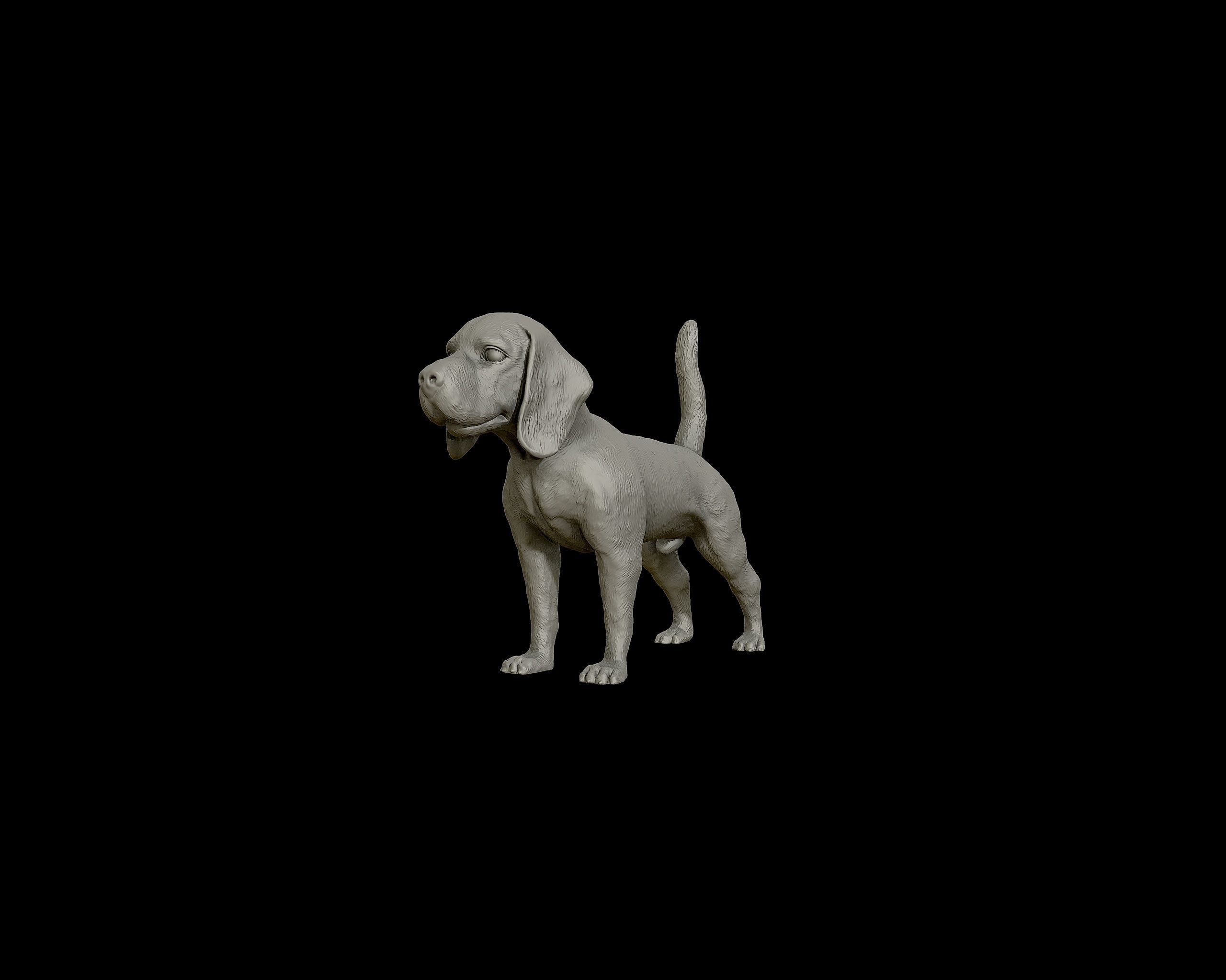 Beagle model 3D print model 3D model 3D printable | CGTrader