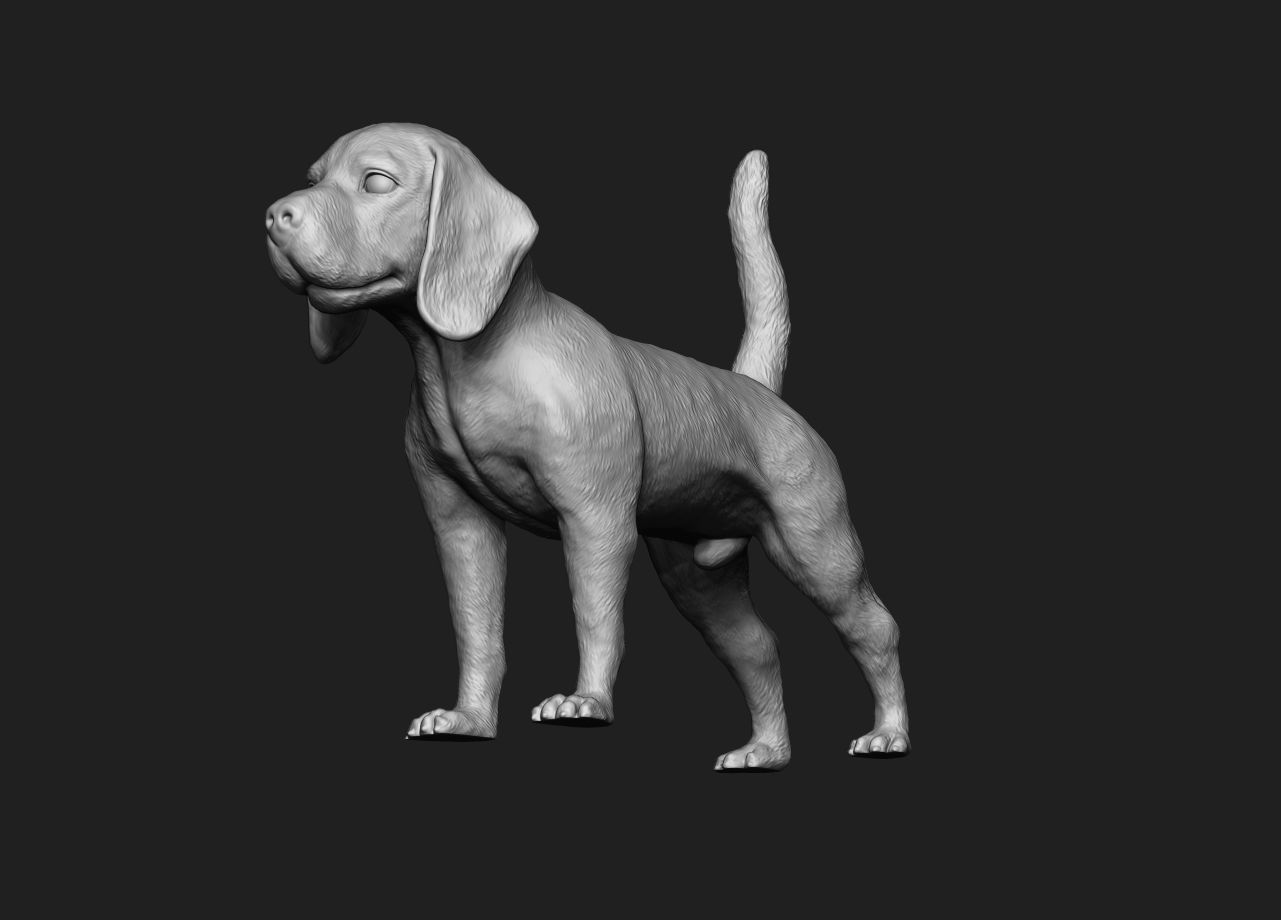 Beagle model 3D print model 3D model 3D printable | CGTrader