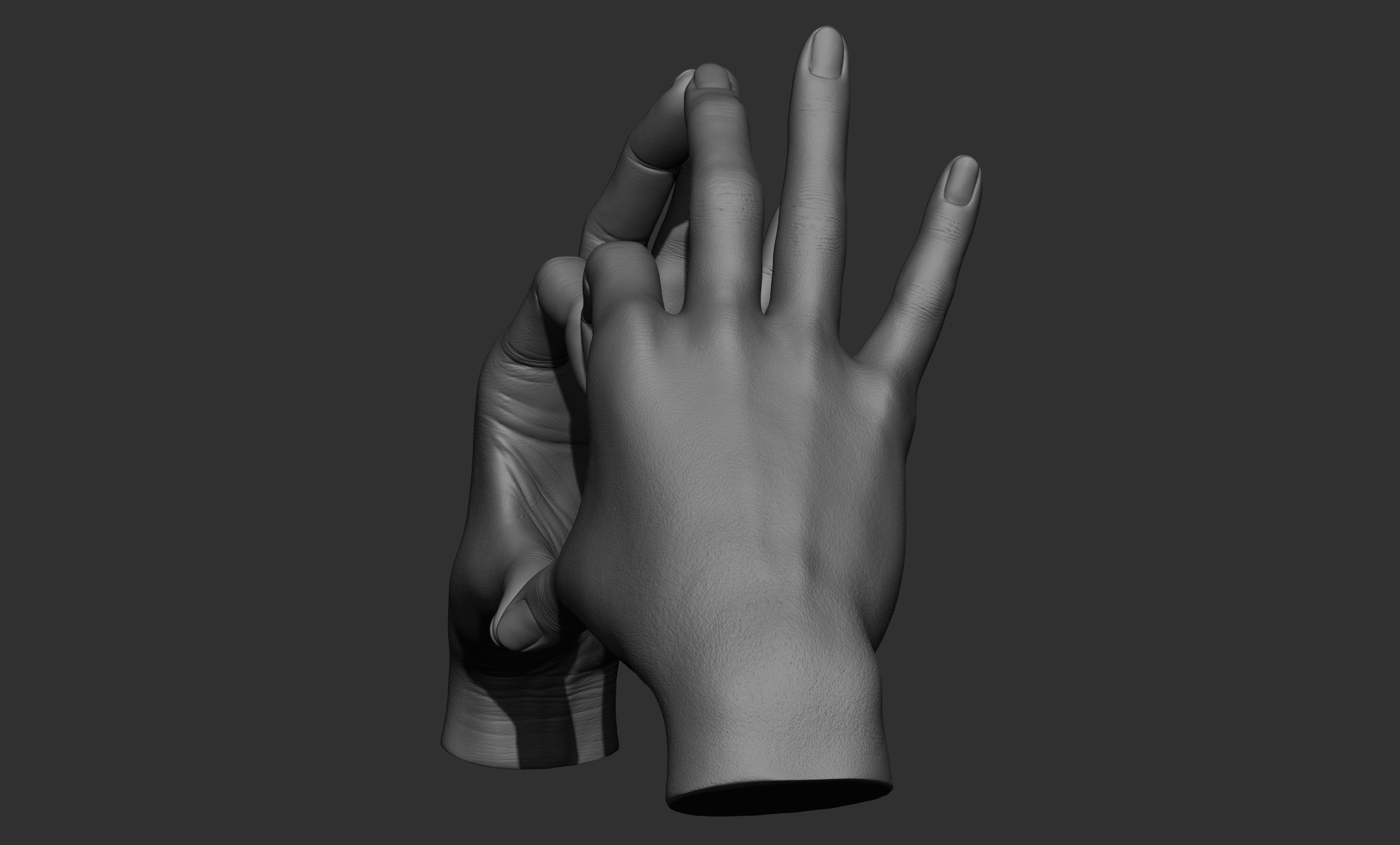 17 Female hand poses 3D model | CGTrader
