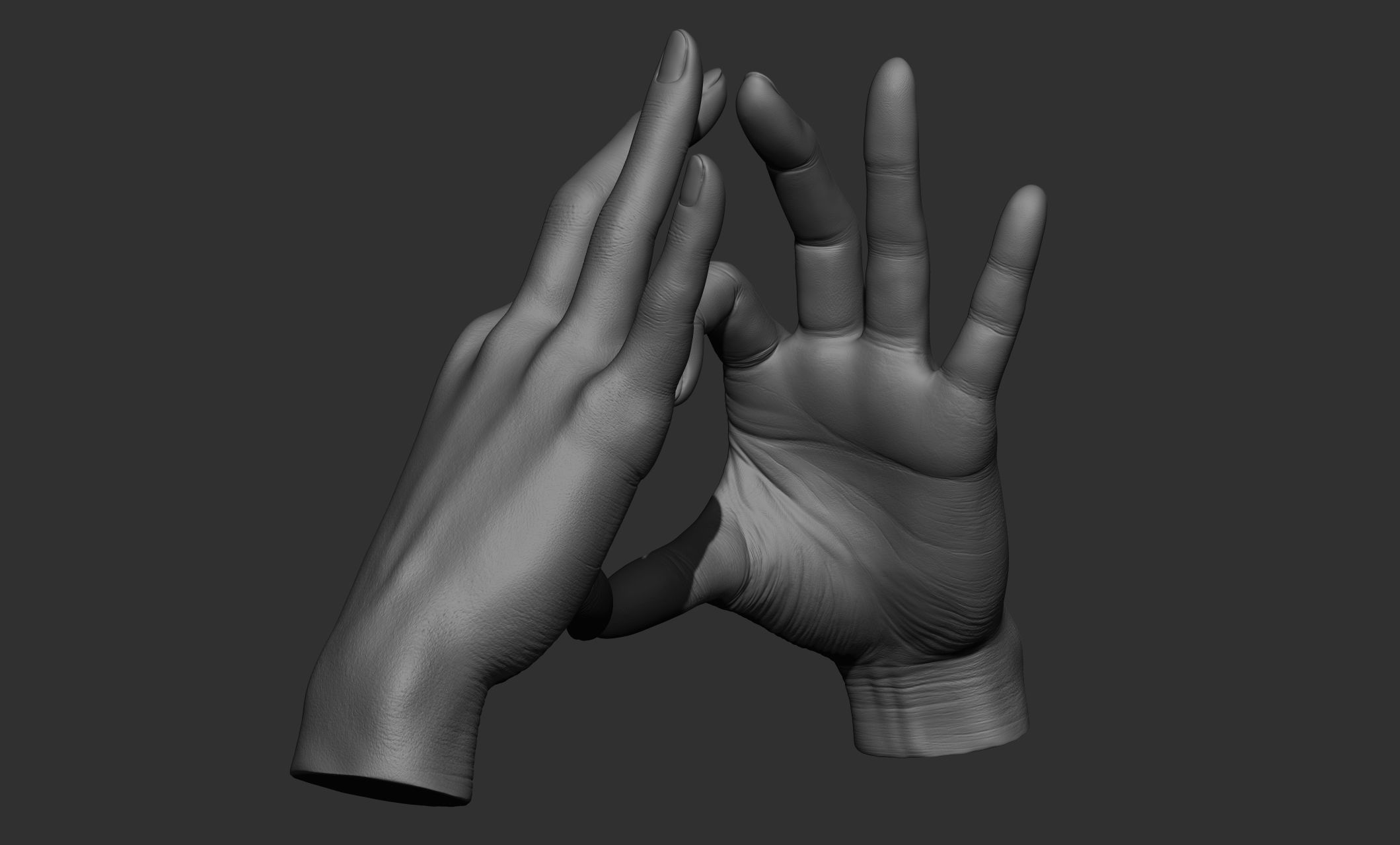 17 Female hand poses 3D model | CGTrader