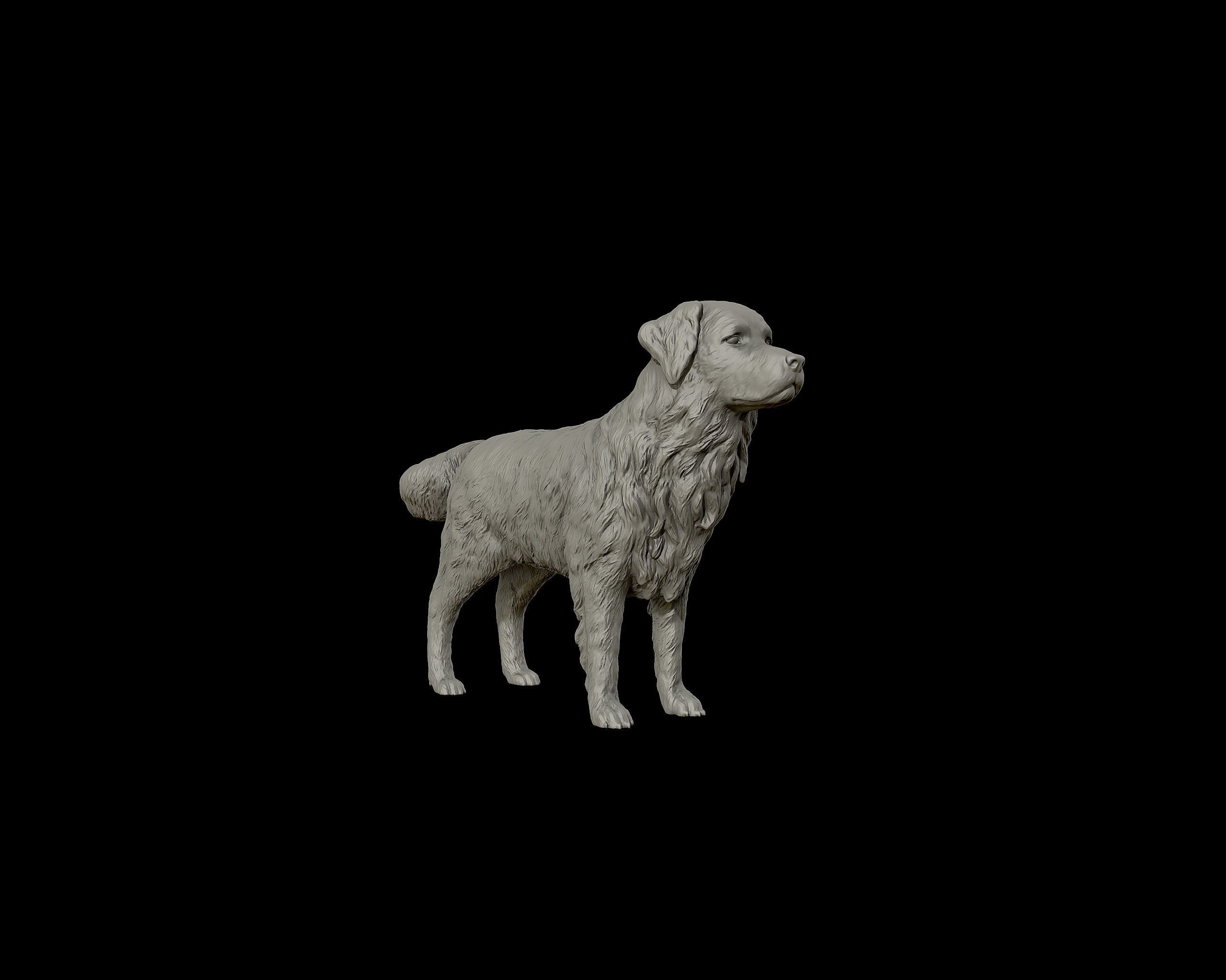 Golden Retriever model 3D print model 3D model 3D printable | CGTrader