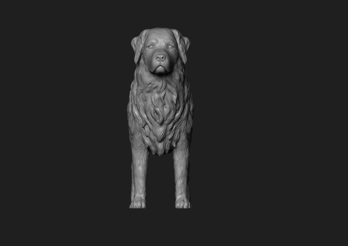 Golden Retriever model 3D print model 3D model 3D printable | CGTrader