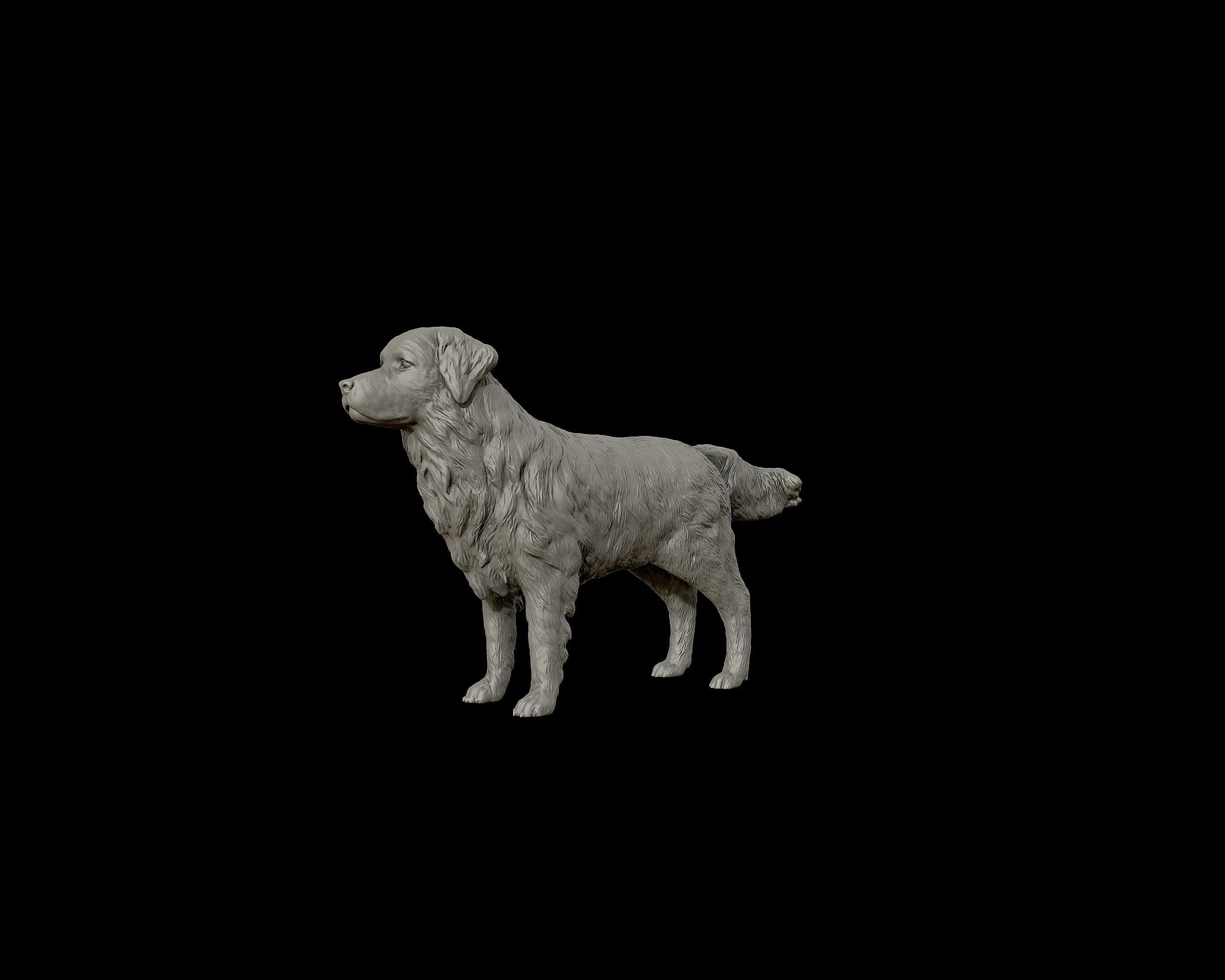 Golden Retriever model 3D print model 3D model 3D printable | CGTrader
