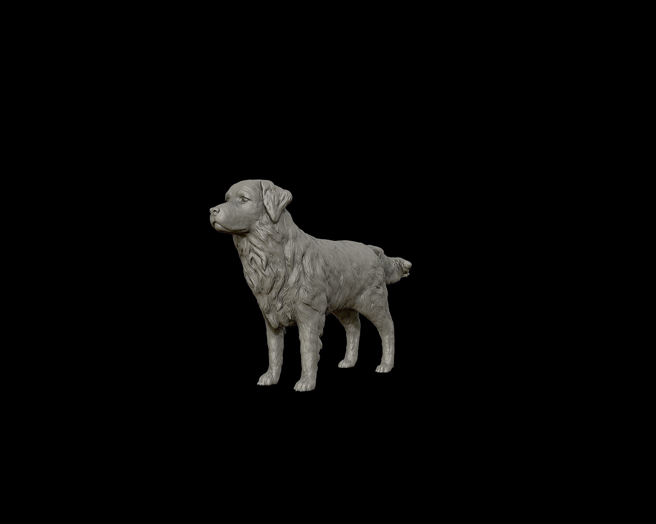Golden Retriever model 3D print model 3D model 3D printable | CGTrader