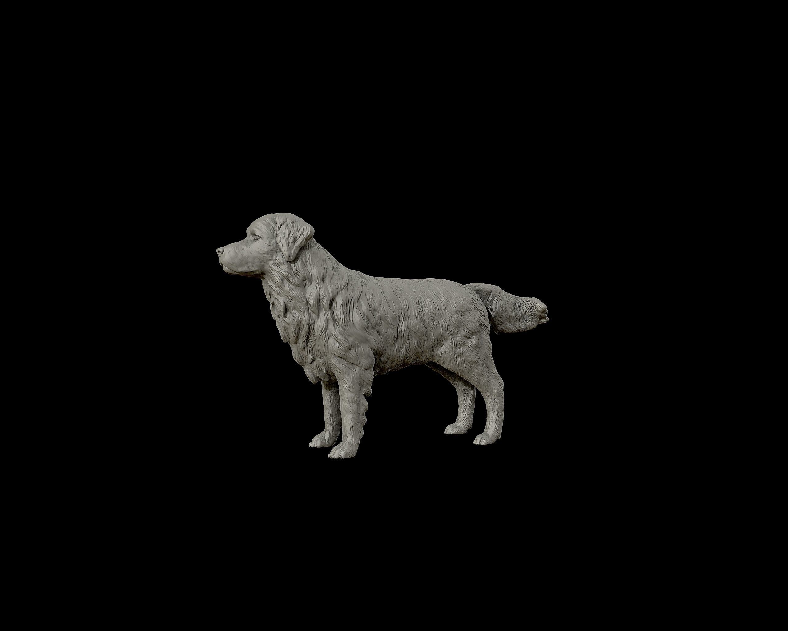 Golden Retriever model 3D print model 3D model 3D printable | CGTrader