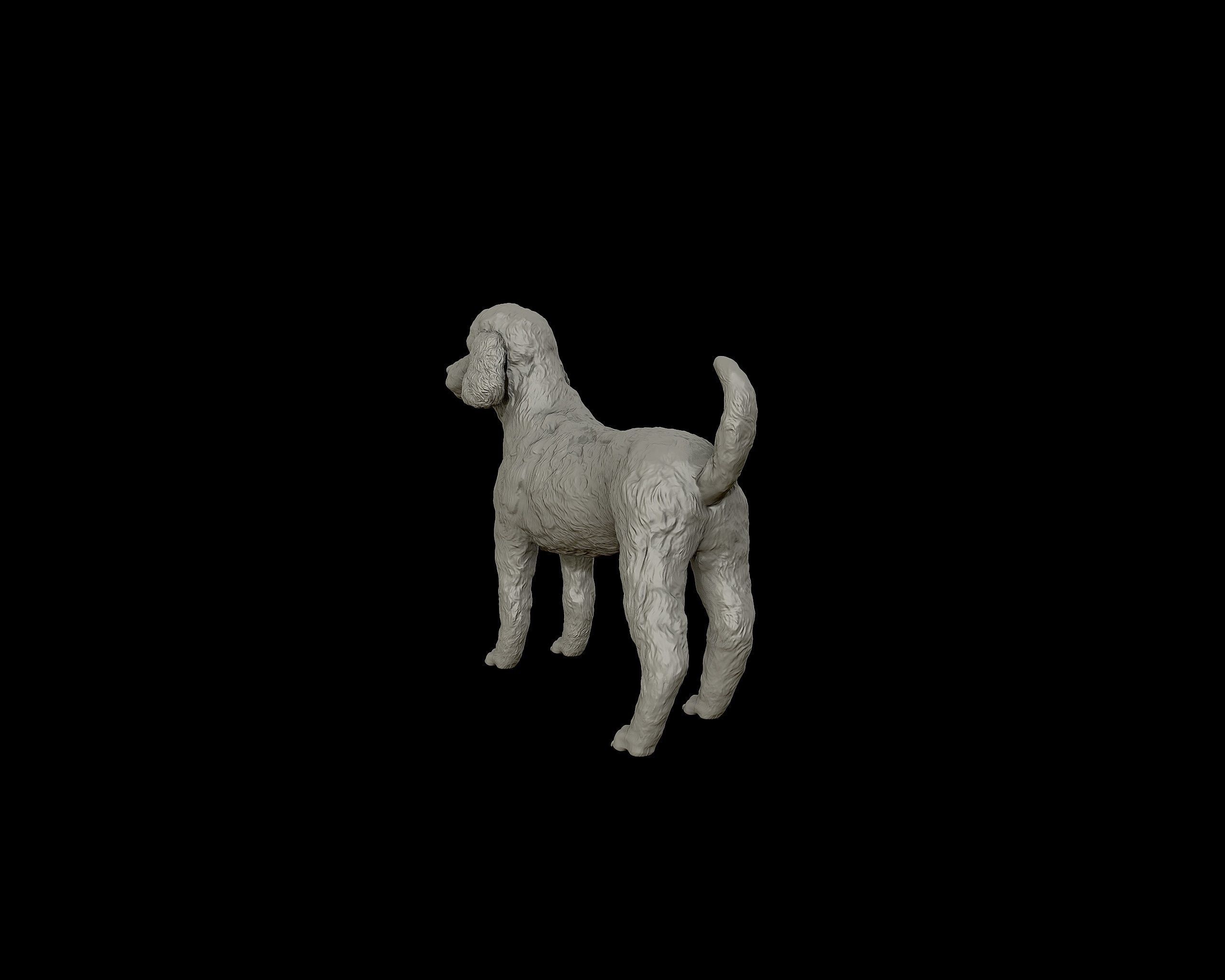 Poodle model 3D model 3D printable | CGTrader