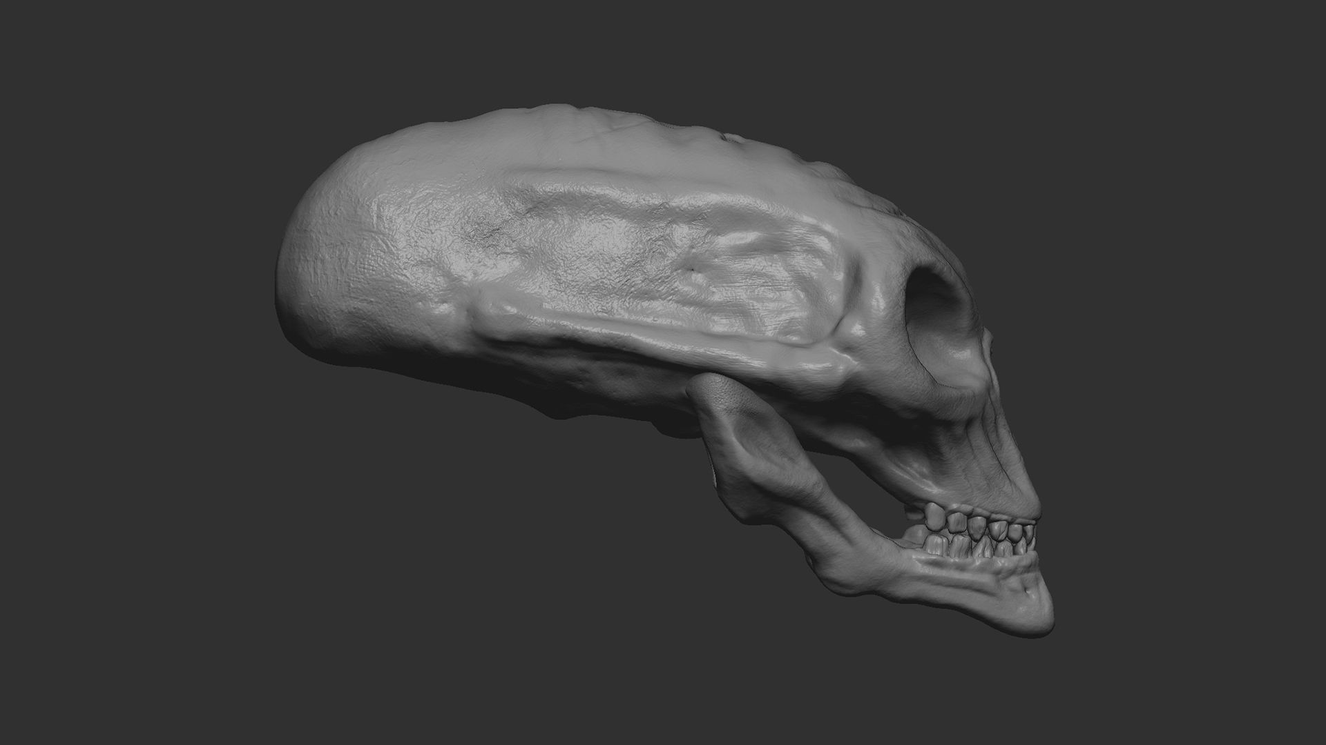 Alien Skull 3D print 3D model 3D printable | CGTrader