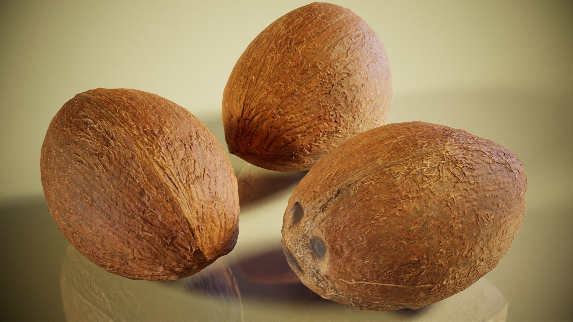 3D model Coconut VR / AR / low-poly | CGTrader