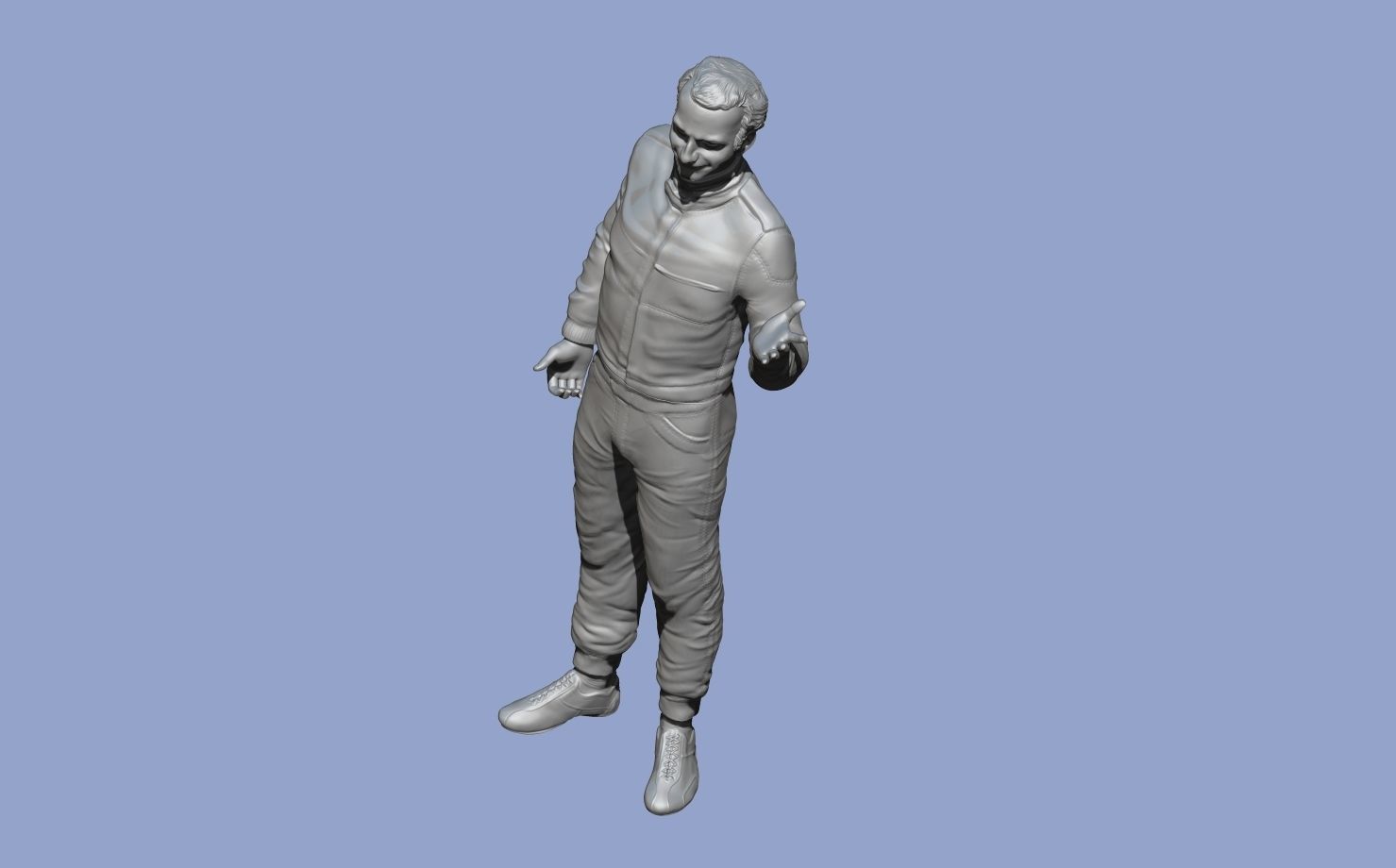 NIKI LAUDA 3D model 3D printable | CGTrader