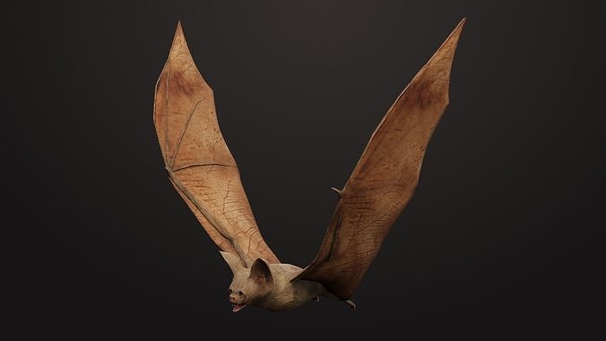 3D model Vampire Bat VR / AR / low-poly | CGTrader