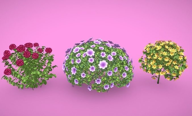 flower bush 3D model | CGTrader