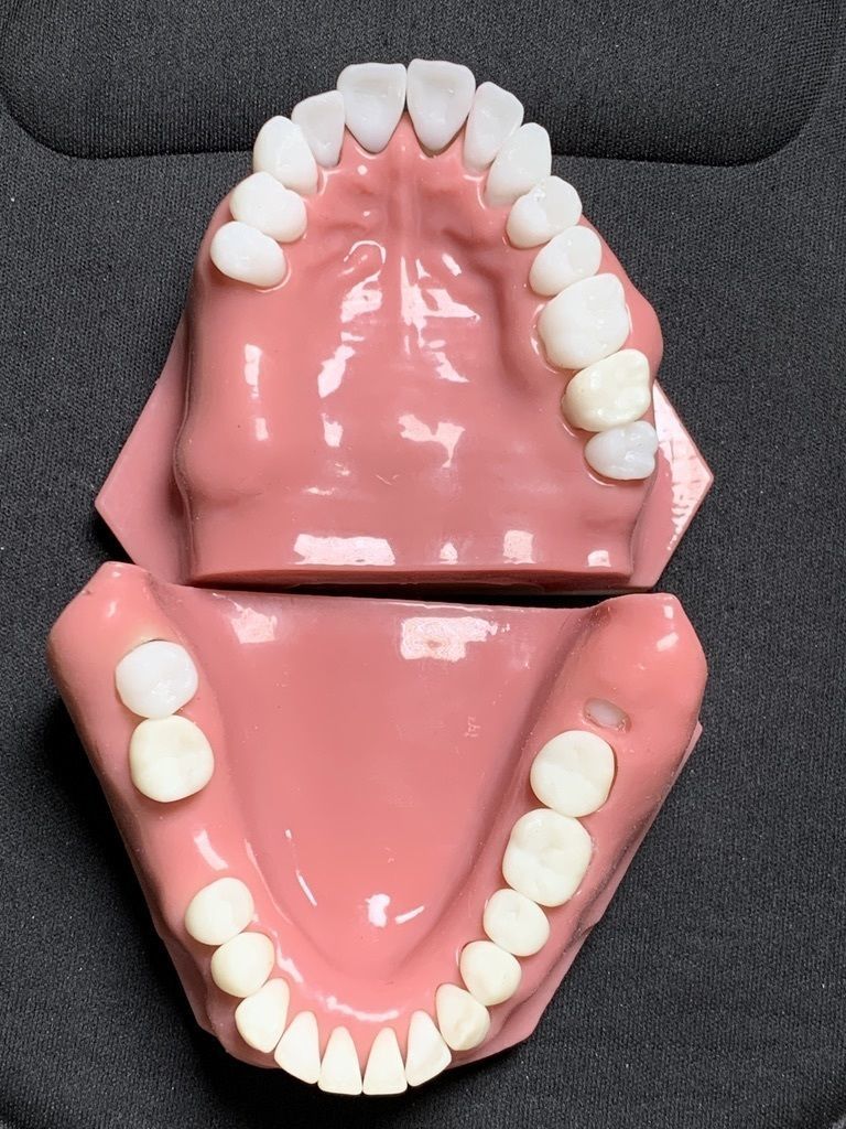 D011 Oral surgery and perio model 3D model 3D printable | CGTrader