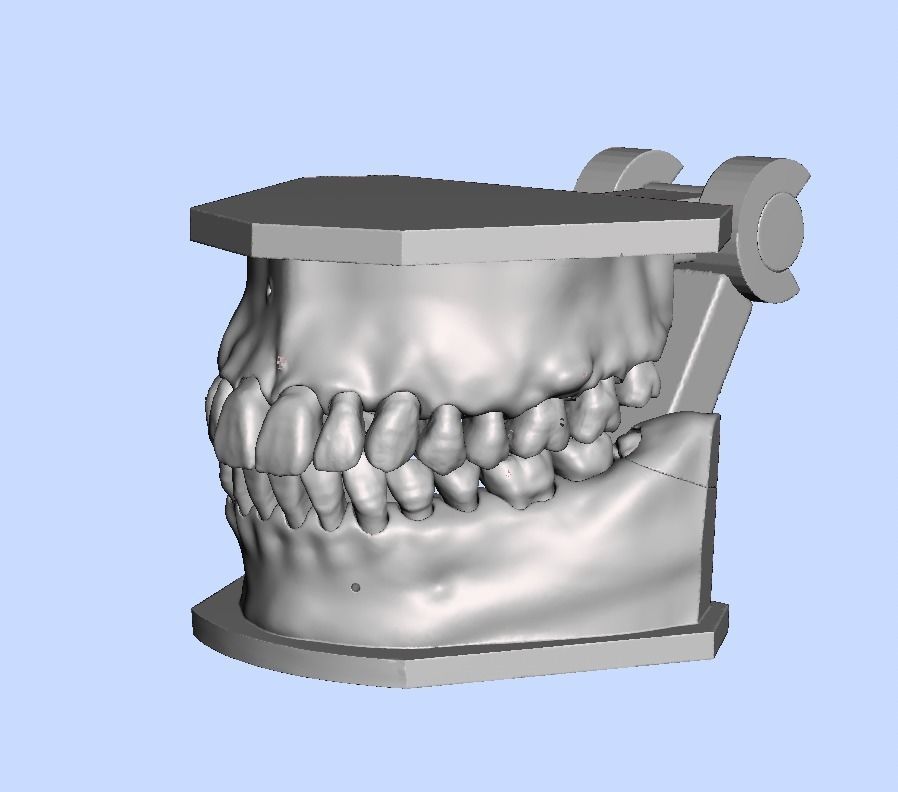 D011 Oral surgery and perio model 3D model 3D printable | CGTrader