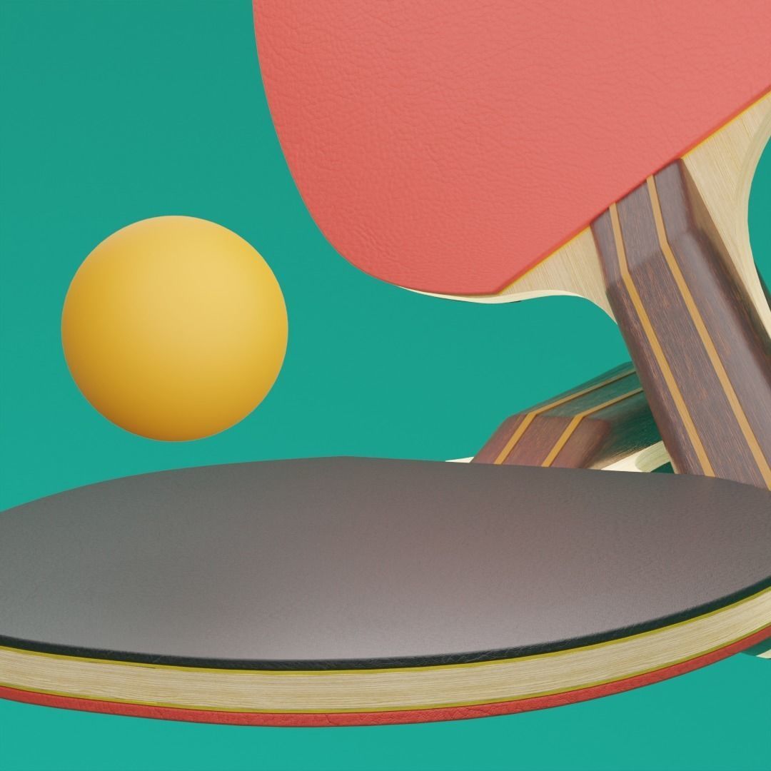 Realistic Table Tennis Racket and Ping Pong Ball 3D model | CGTrader