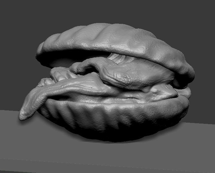 Clam Model shell 3D model 3D printable | CGTrader