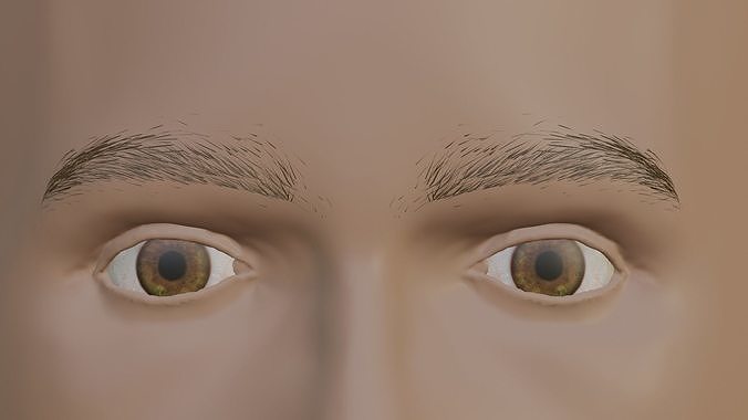 3D model Natural looking eyebrows VR / AR / low-poly | CGTrader