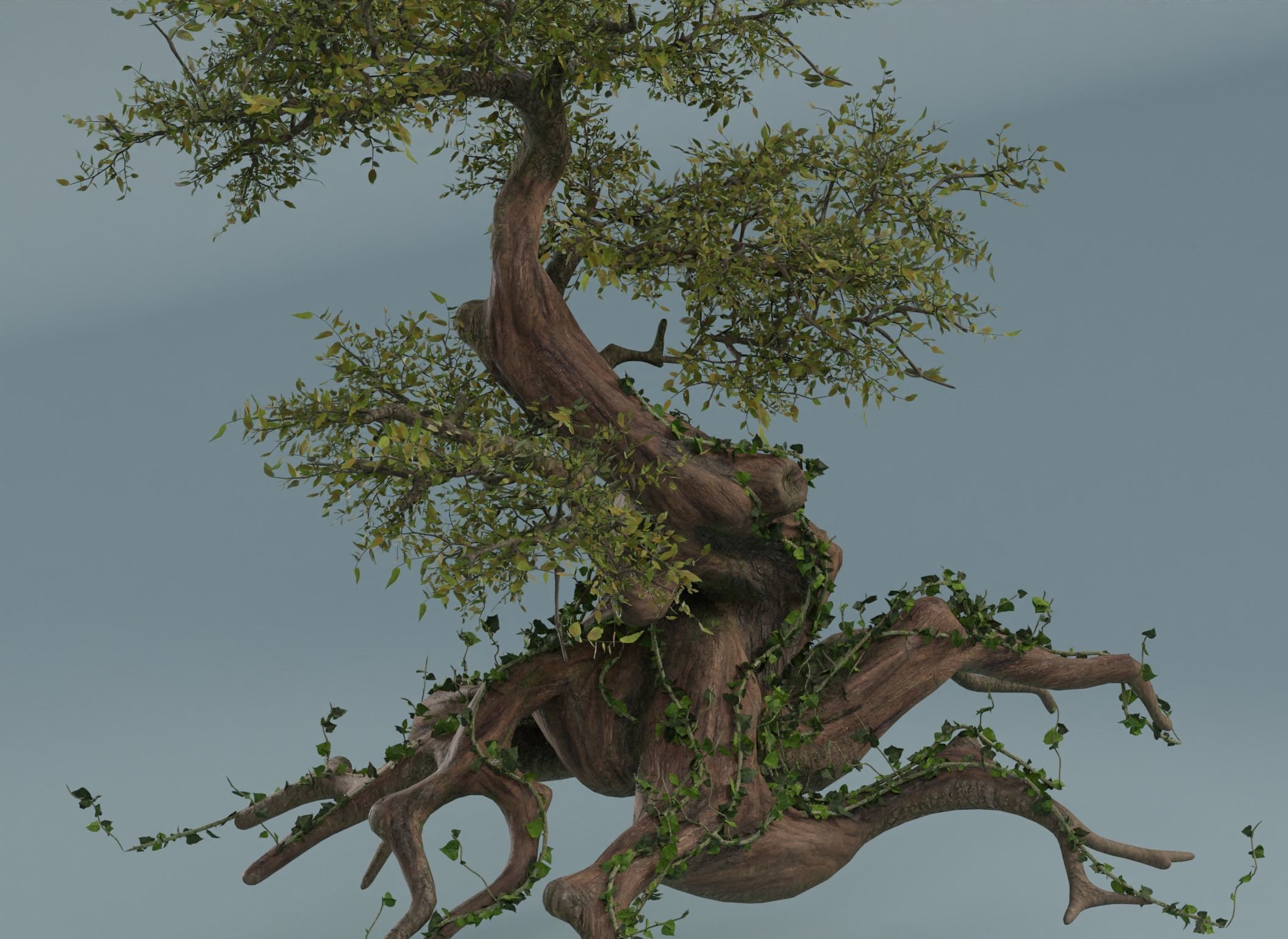 3D model Chinese banyan Ancestral old tree VR / AR / low-poly | CGTrader