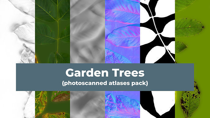 Garden trees leaves atlases Texture | CGTrader