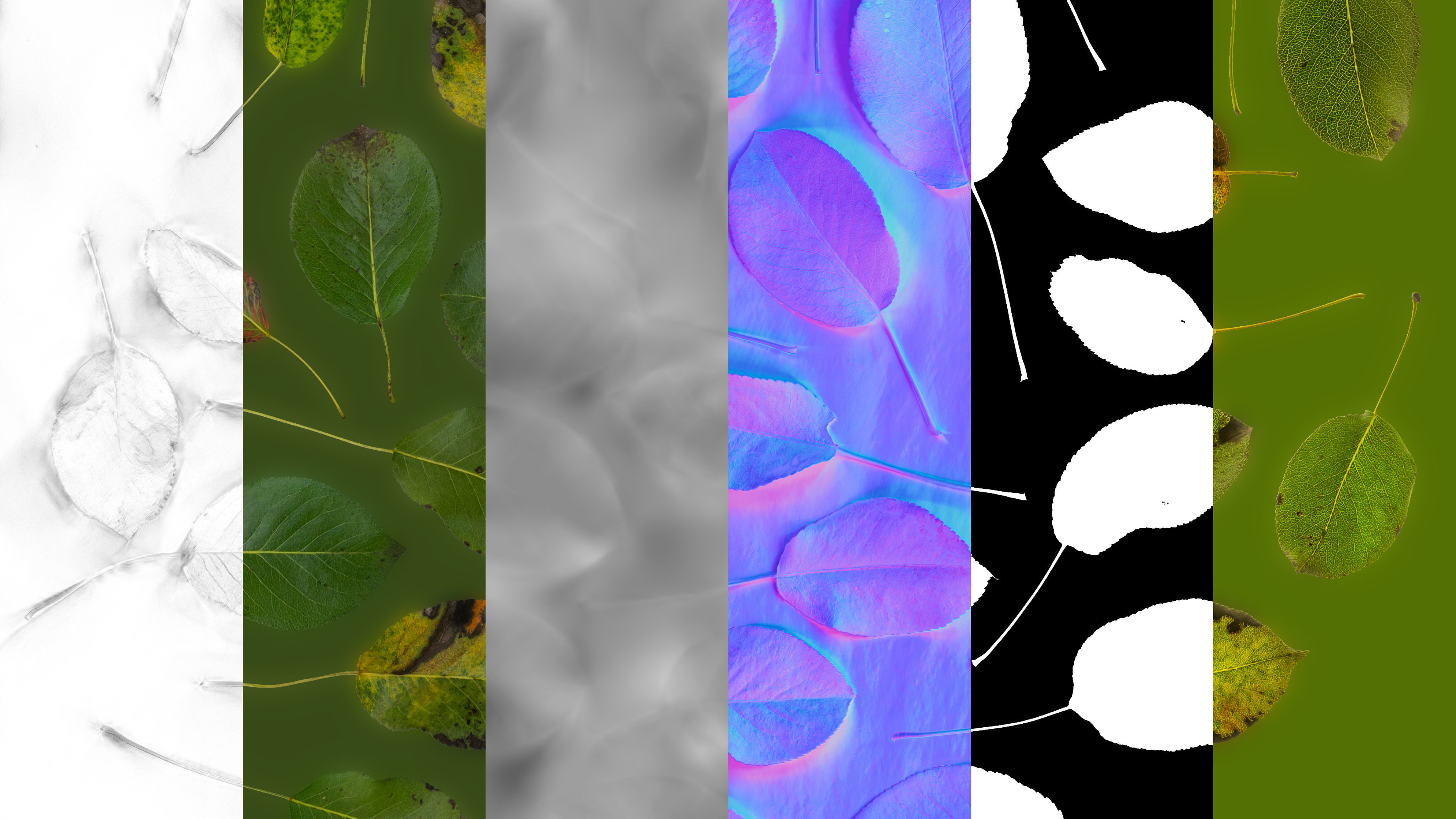 Garden trees leaves atlases Texture | CGTrader