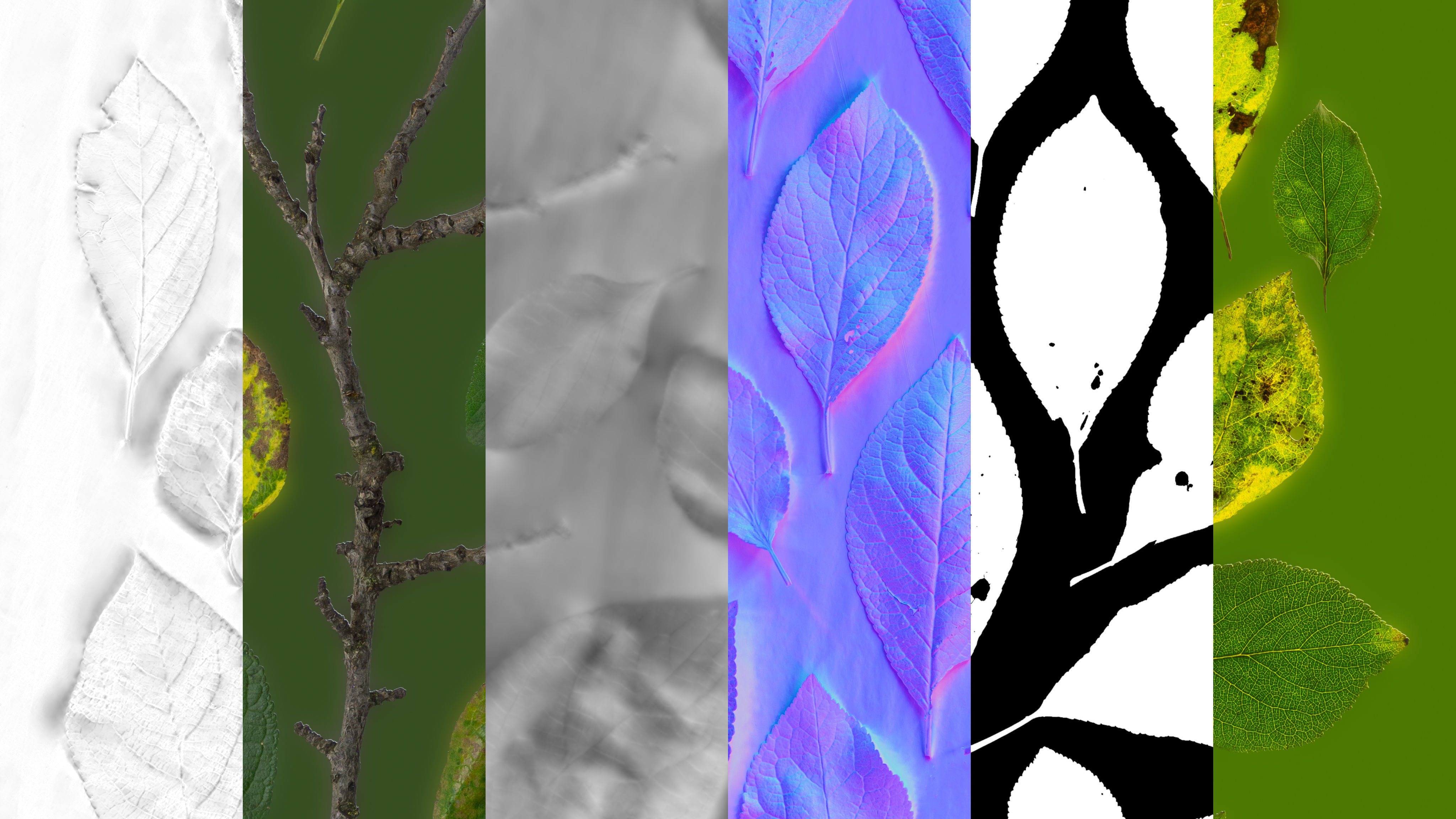 Garden trees leaves atlases Texture | CGTrader