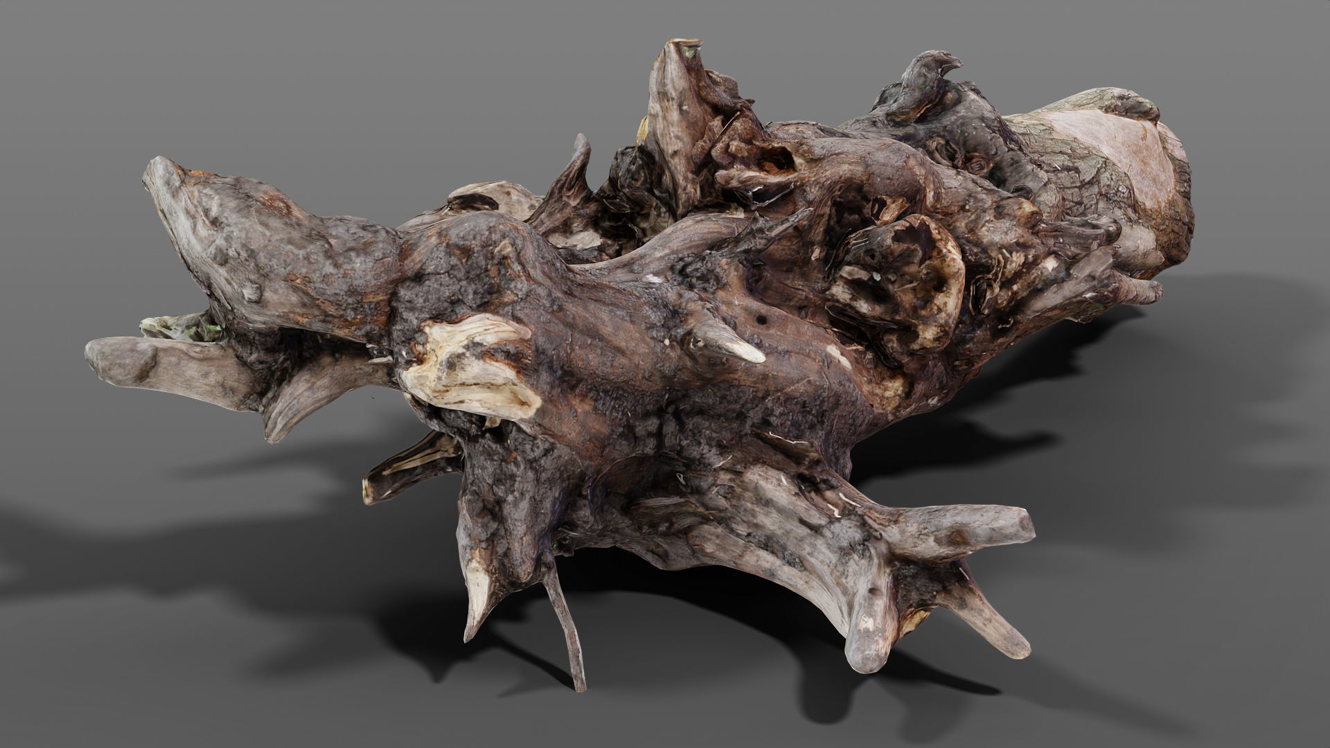 Old snag free 3D model | CGTrader