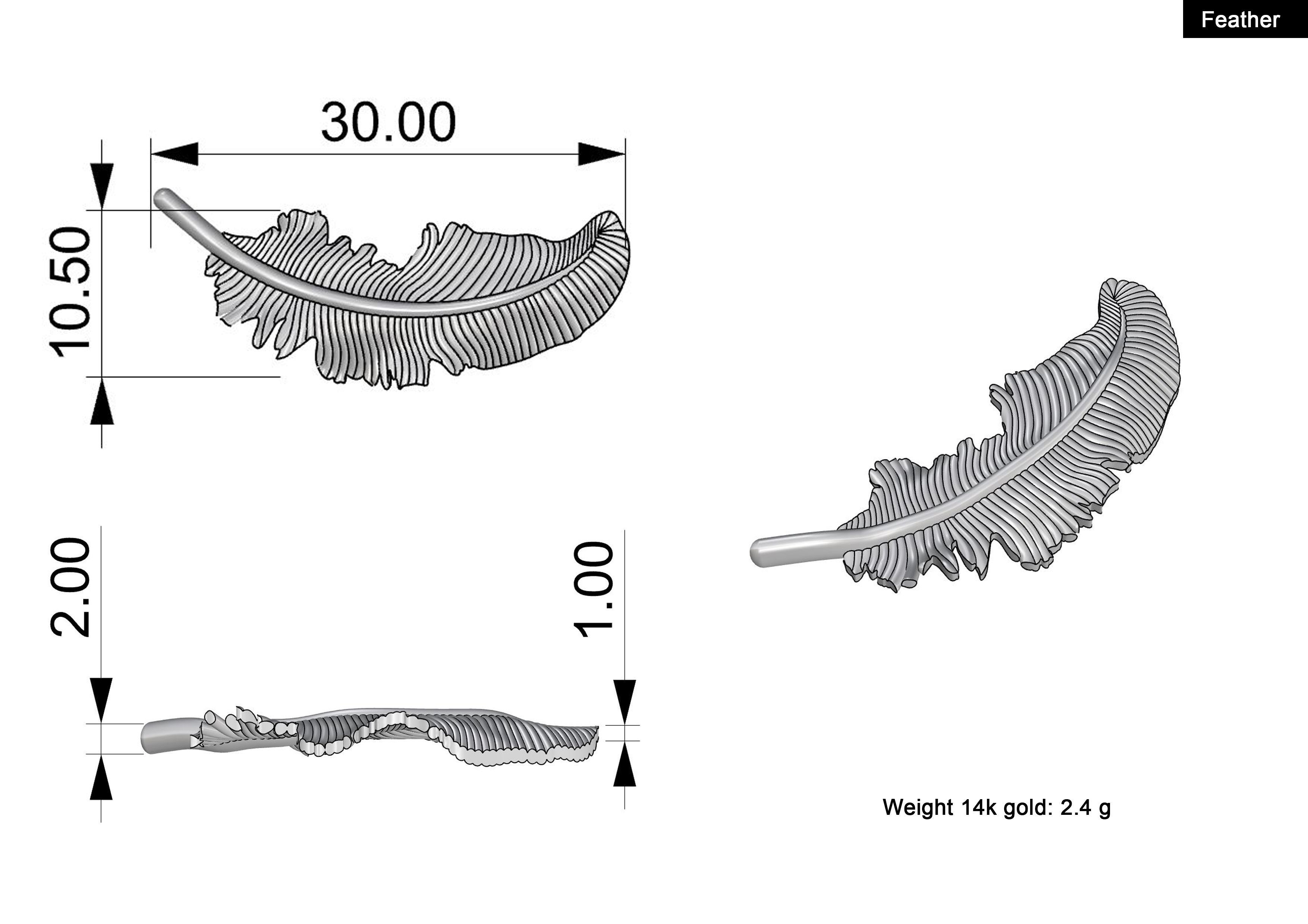 Feather 3D model 3D printable | CGTrader