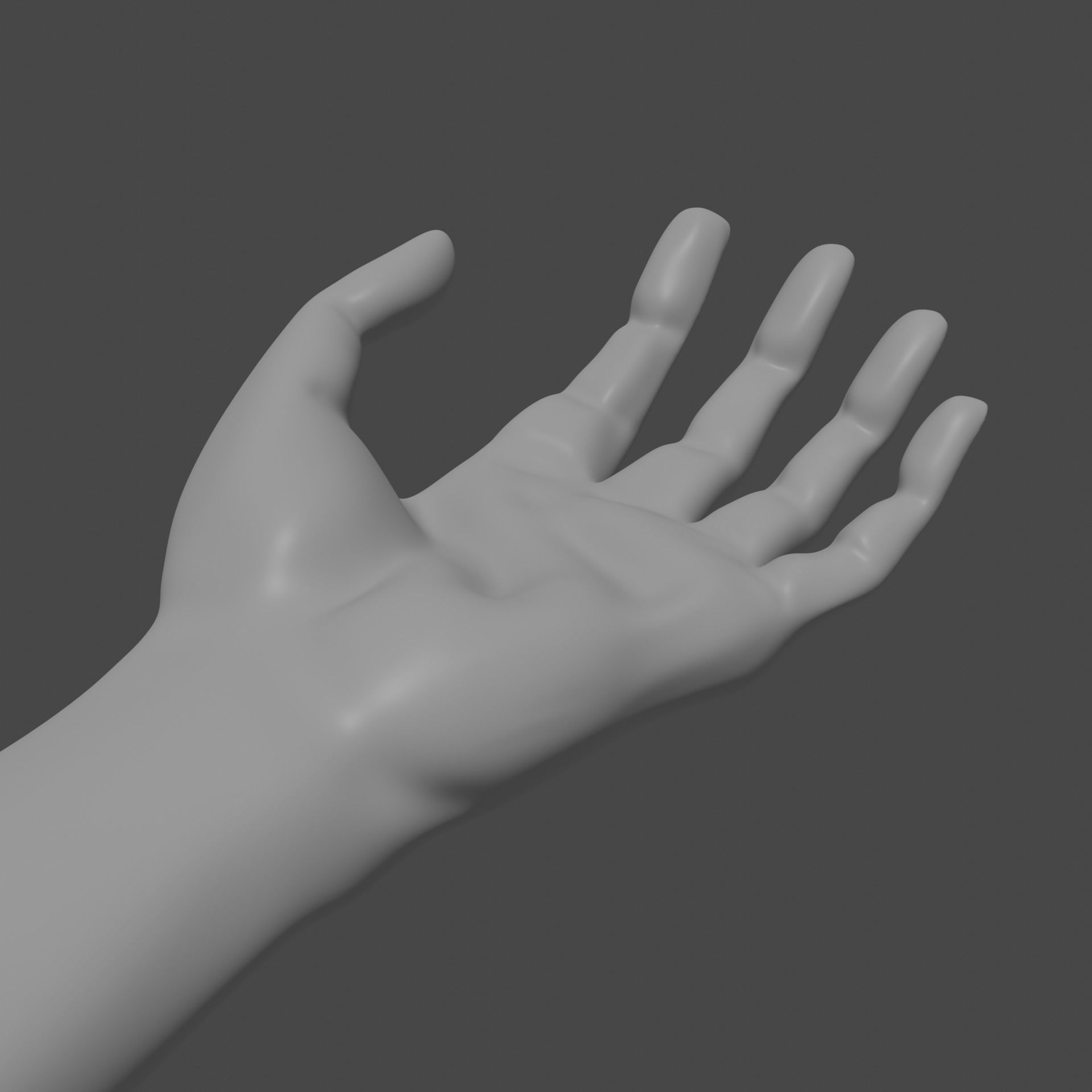 Right Human Hand 3D model | CGTrader