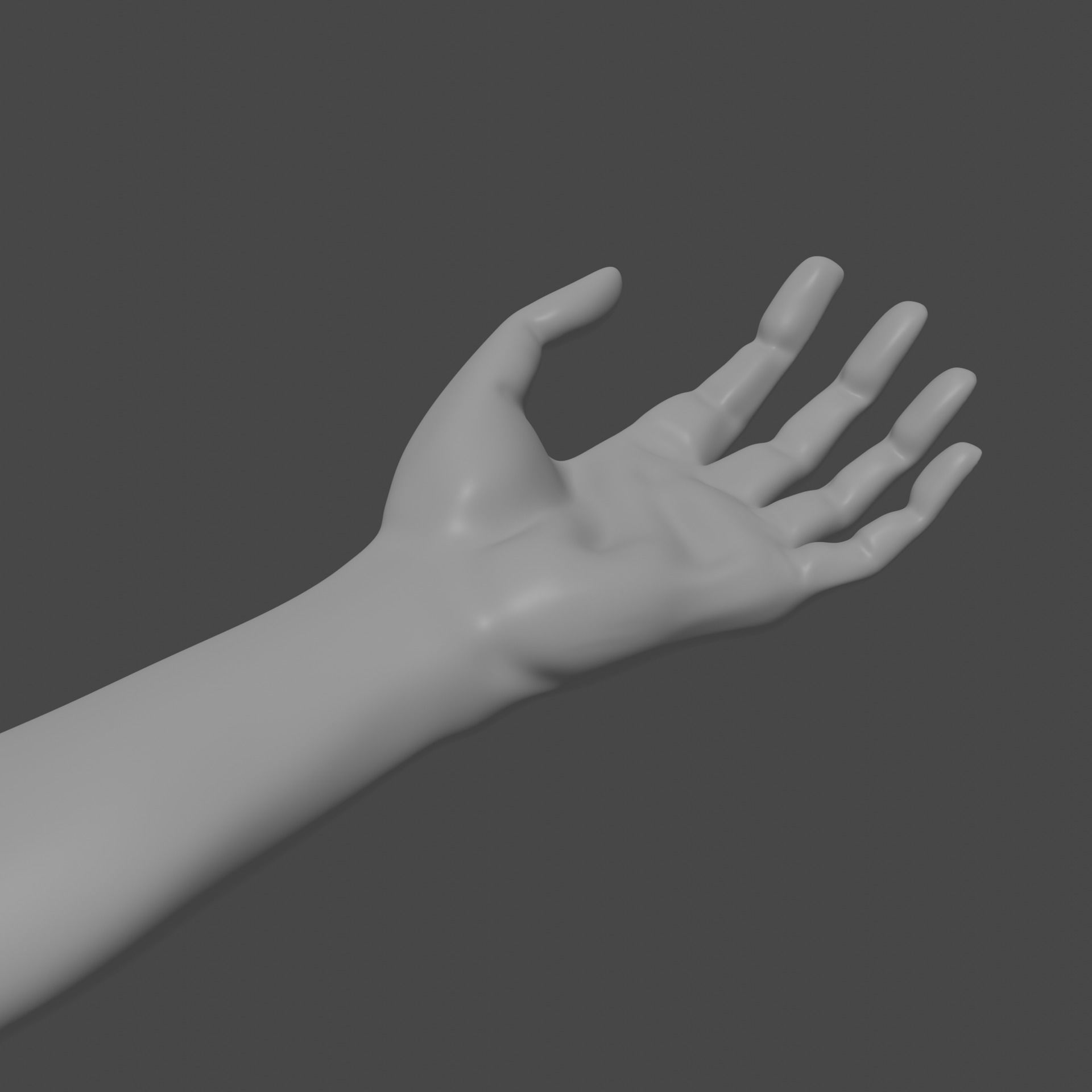 Right Human Hand 3D model | CGTrader