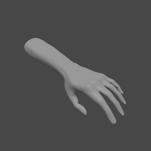 Right Human Hand 3D model | CGTrader