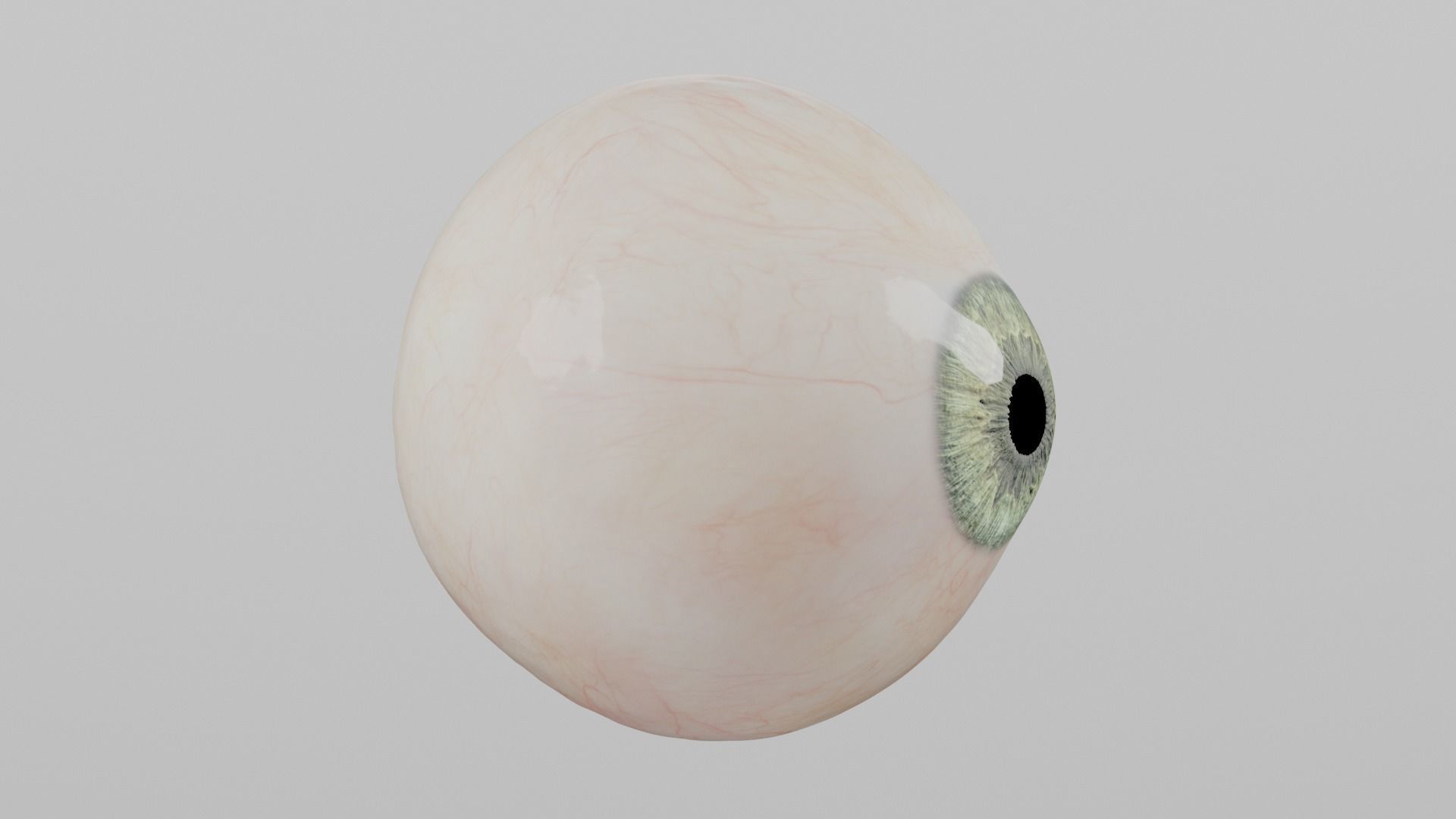 3D model Production-Ready Photorealistic Human Eye - Multicolor VR / AR ...