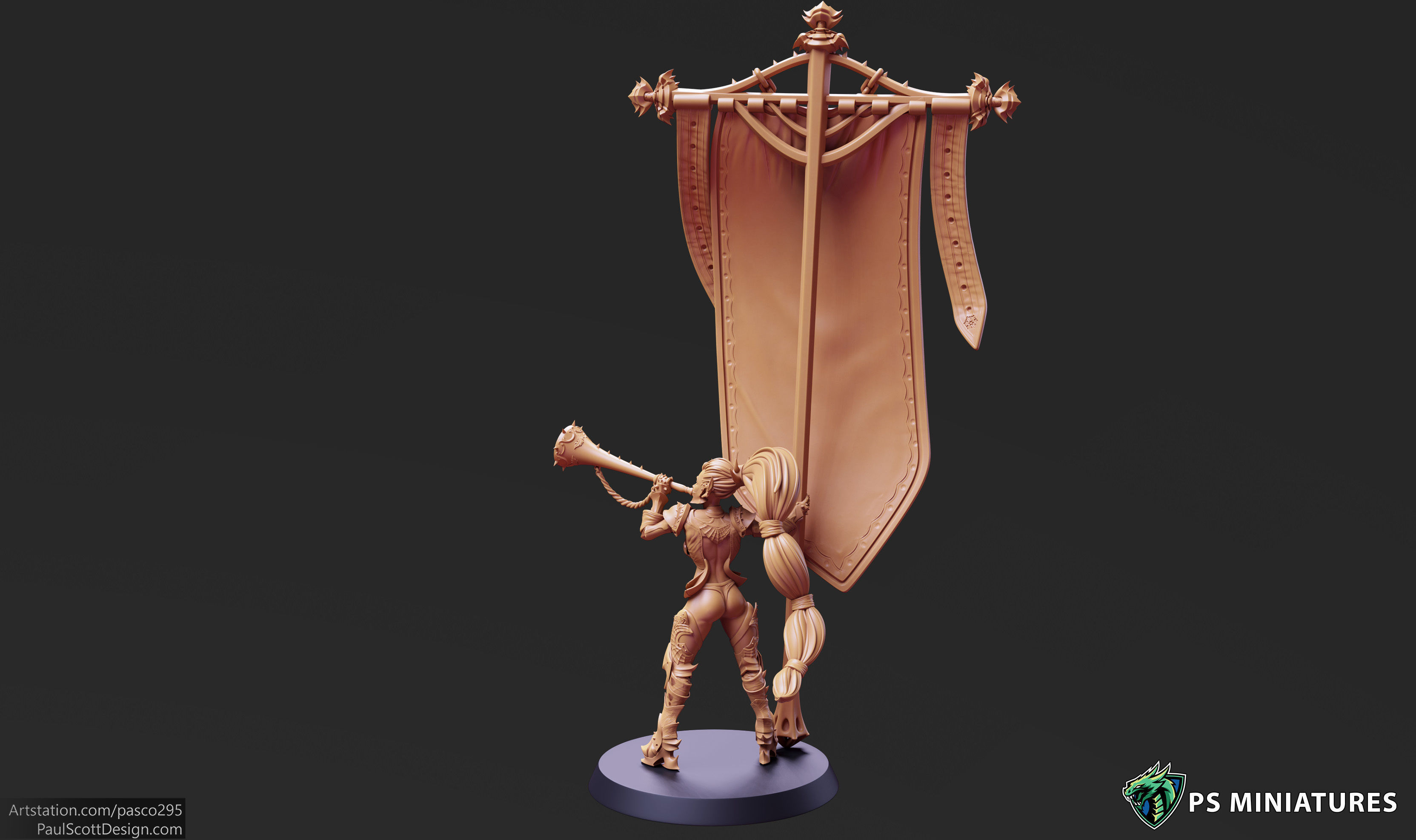 Drow Standard Bearer - 2 Variants and Pinup 3D model 3D printable ...