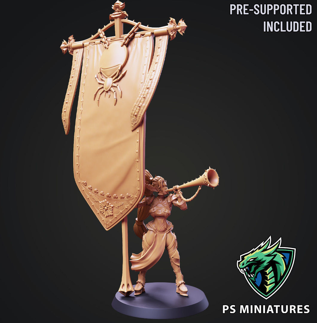Drow Standard Bearer - 2 Variants and Pinup 3D model 3D printable ...