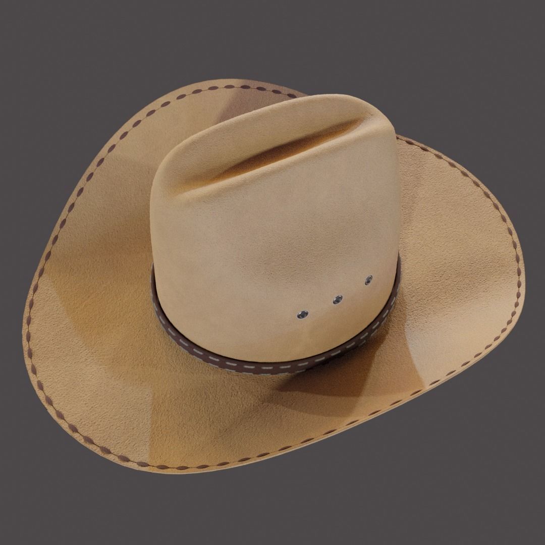 Stetson Western Hat 3D model | CGTrader