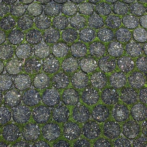 Grass Texture Pavement Texture Texture Cgtrader