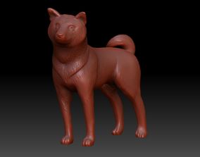Shiba inu 3D Models | CGTrader