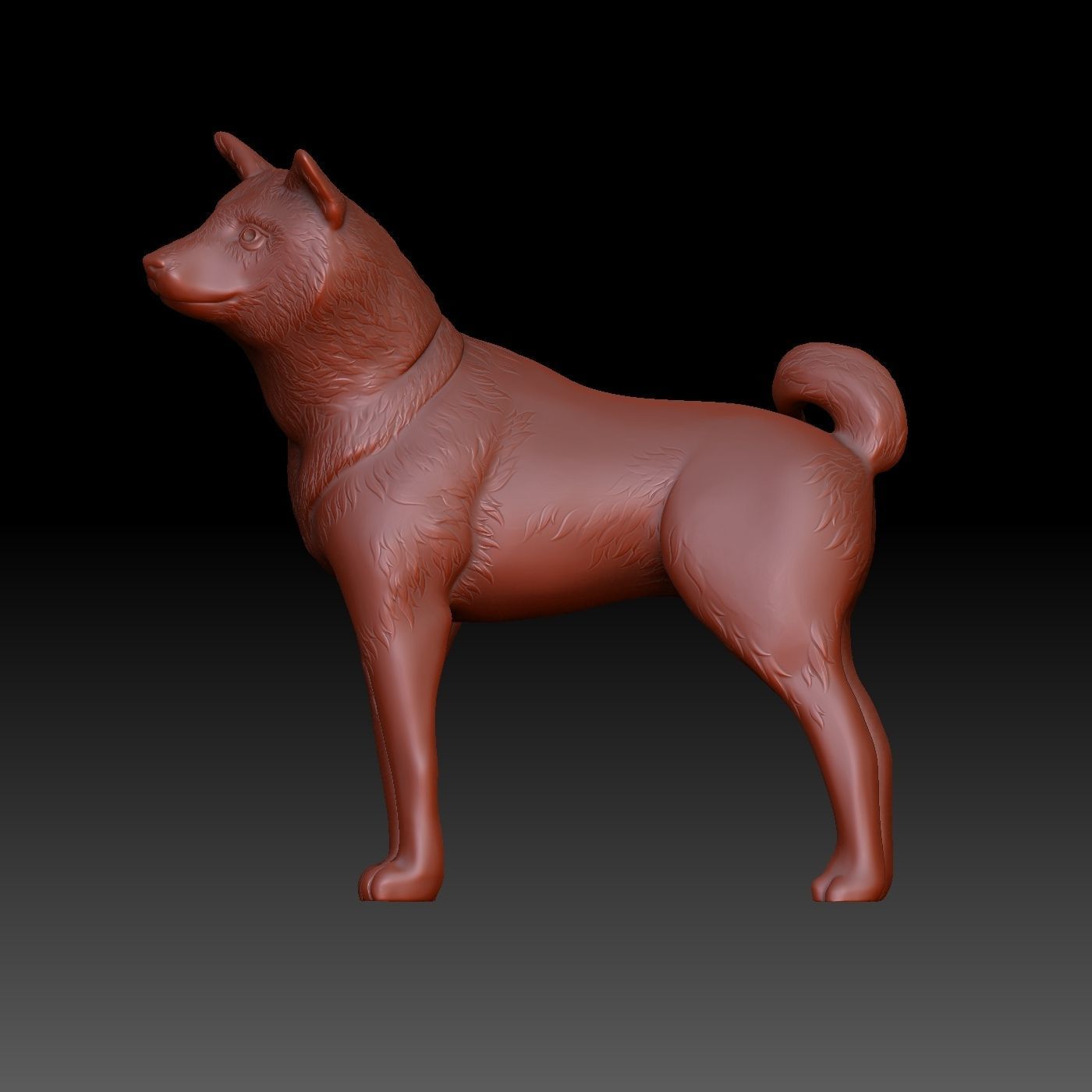 Shiba inu 3D model 3D printable | CGTrader