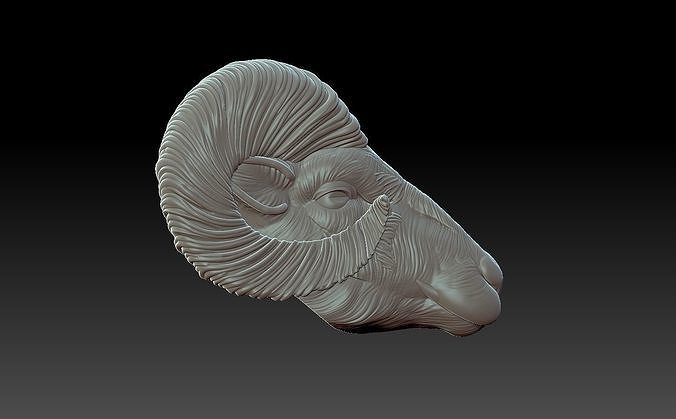 Mountain sheep head 3D model 3D printable | CGTrader
