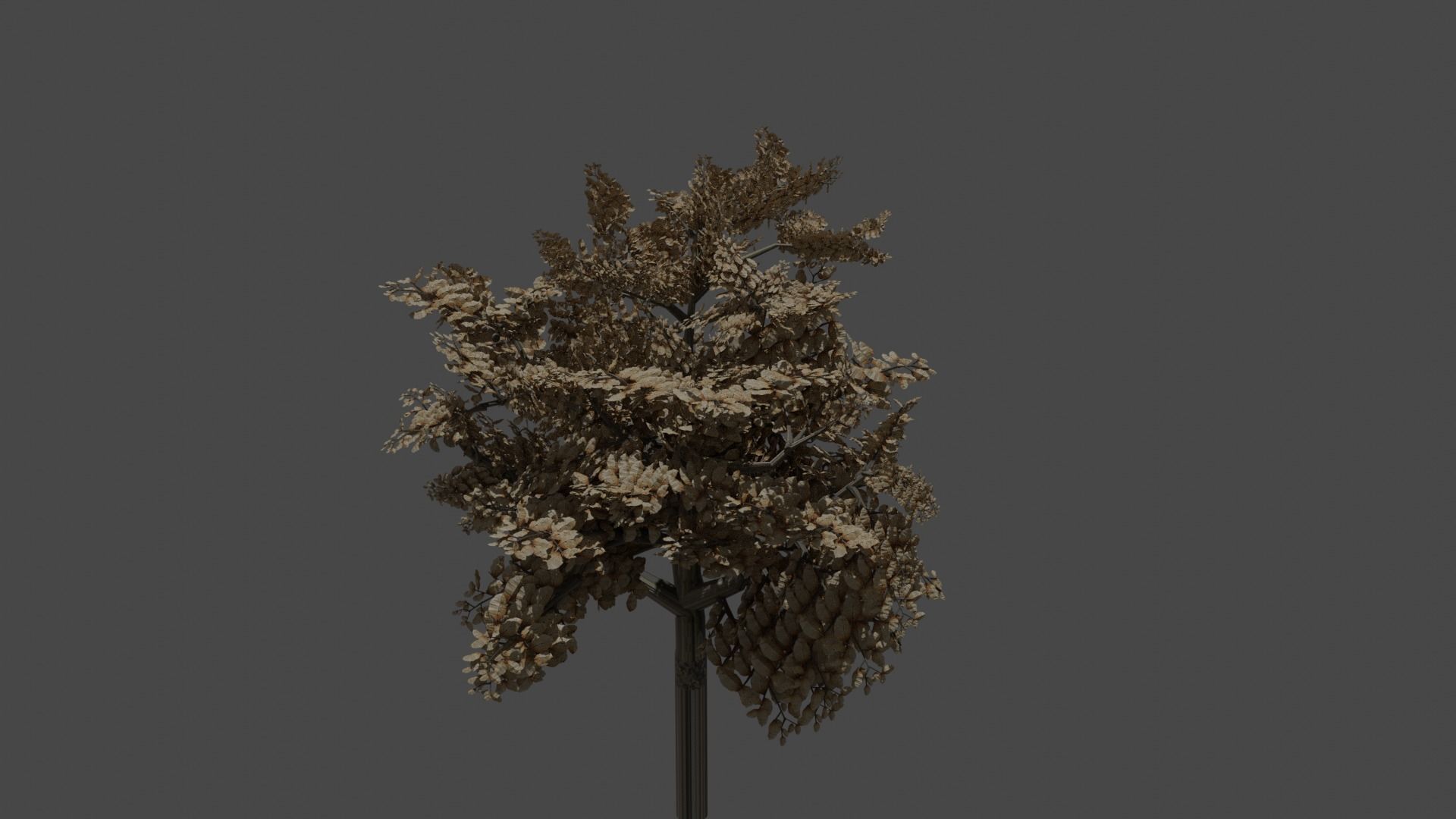Blender tree 3D model | CGTrader