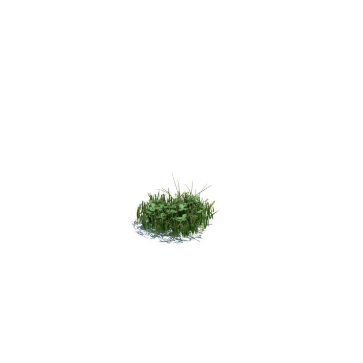 Green Leafy Grass Tuffet 3D model | CGTrader