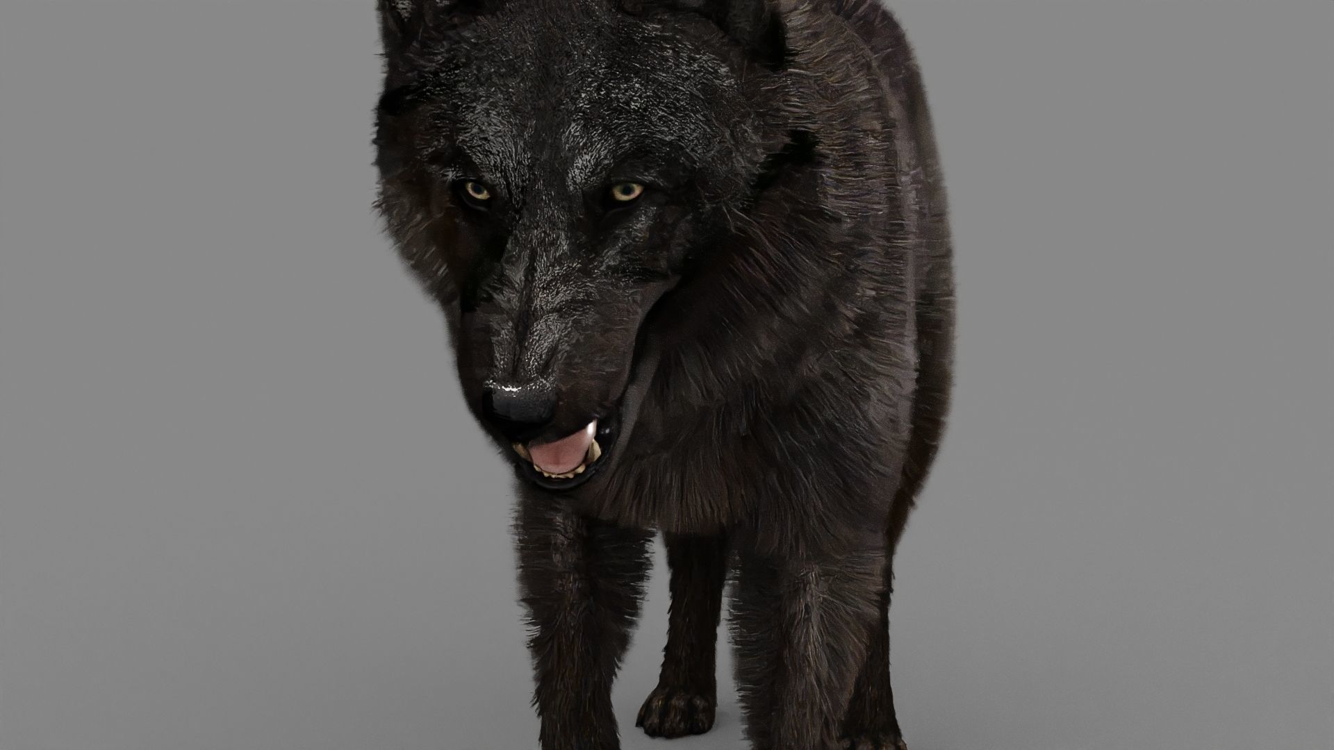 WOLF rigged character 3D model rigged | CGTrader